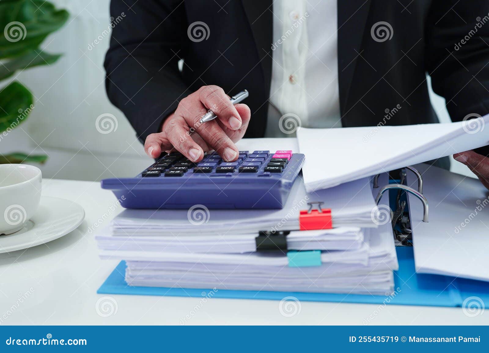 Business Woman Busy Working with Documents in Office Stock Image ...