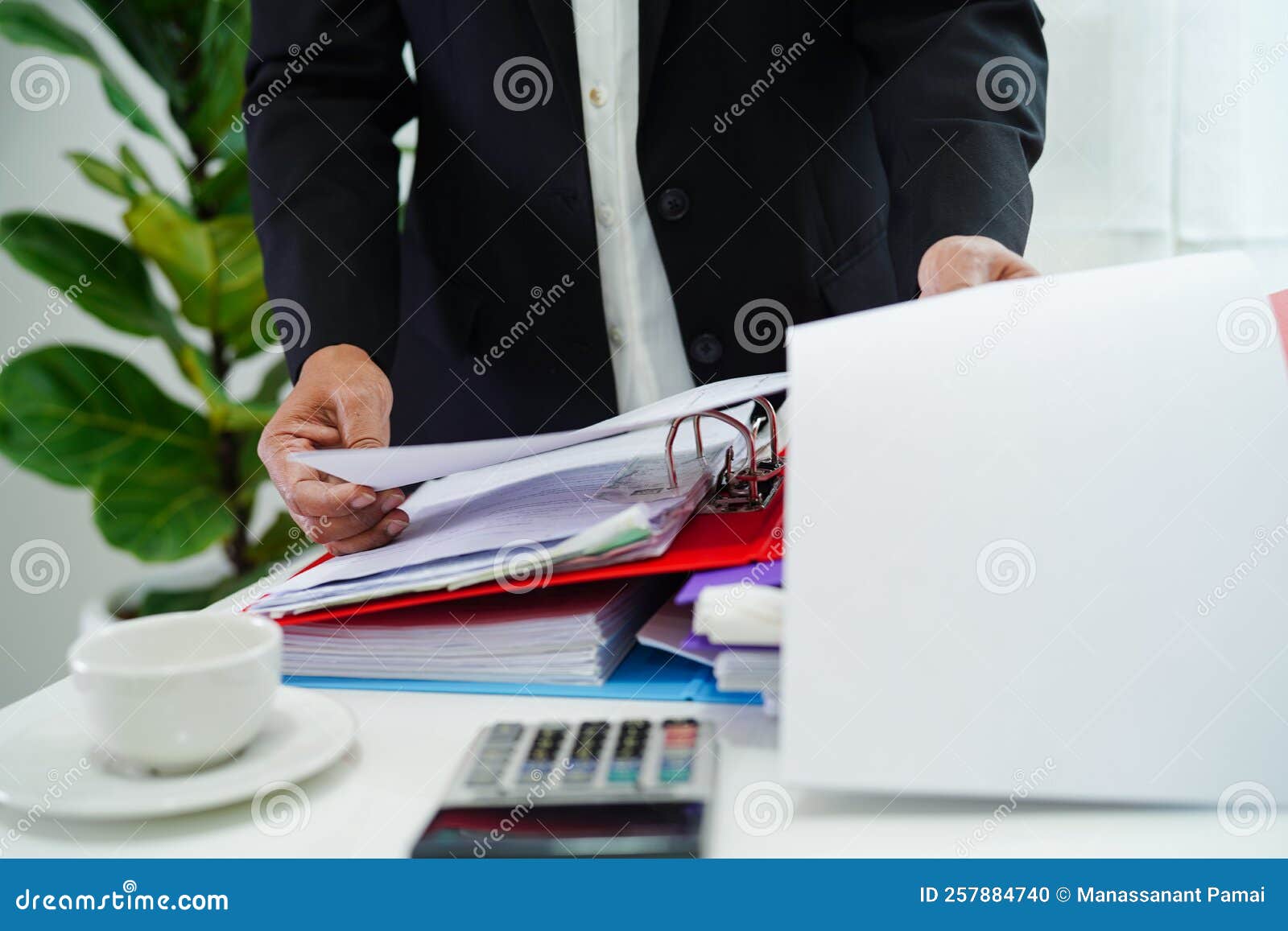 Business Woman Busy Working with Documents in Office Stock Photo ...