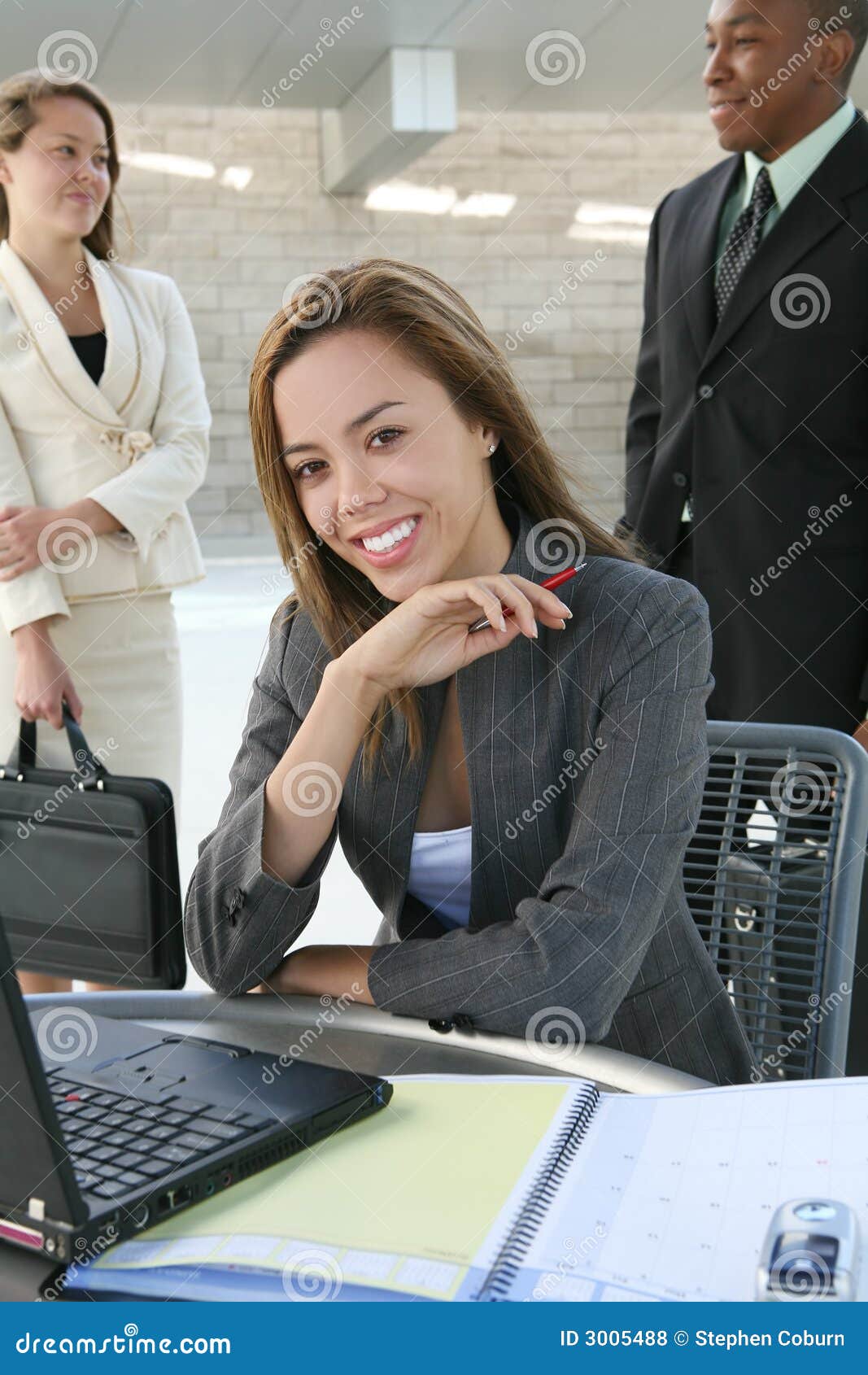 Business Woman on Computer stock photo. Image of executive - 3005488