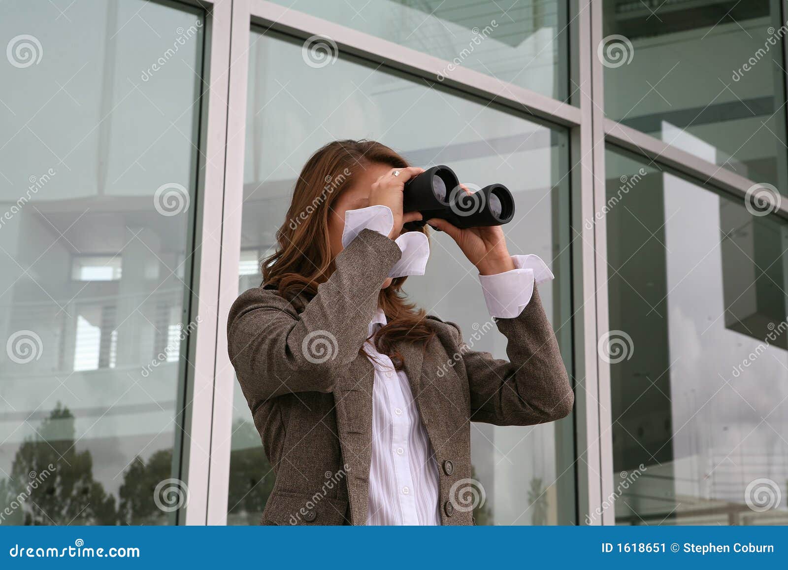 Business Woman Searching stock image. Image of educated - 1618651