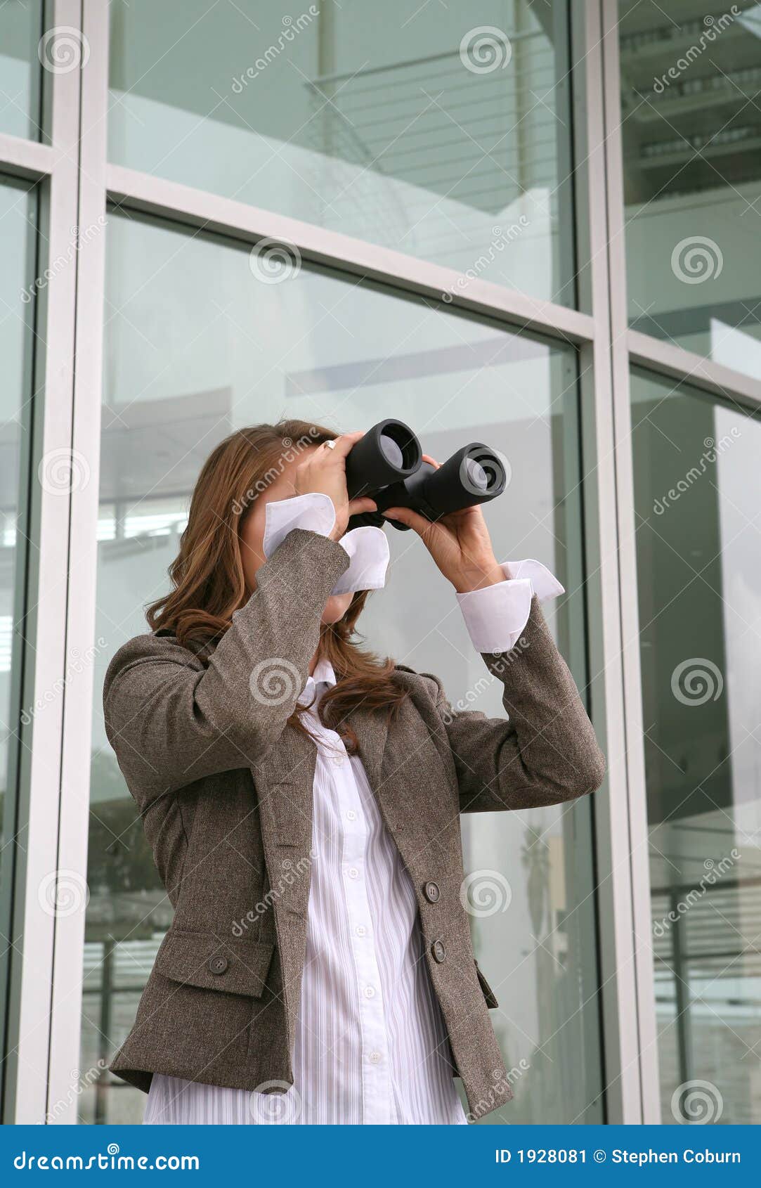 Business Woman Searching stock image. Image of professional - 1928081