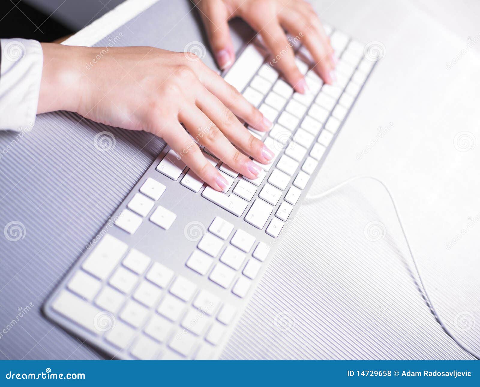 Business Woman Typing on Computer Keyboard Stock Photo - Image of ...