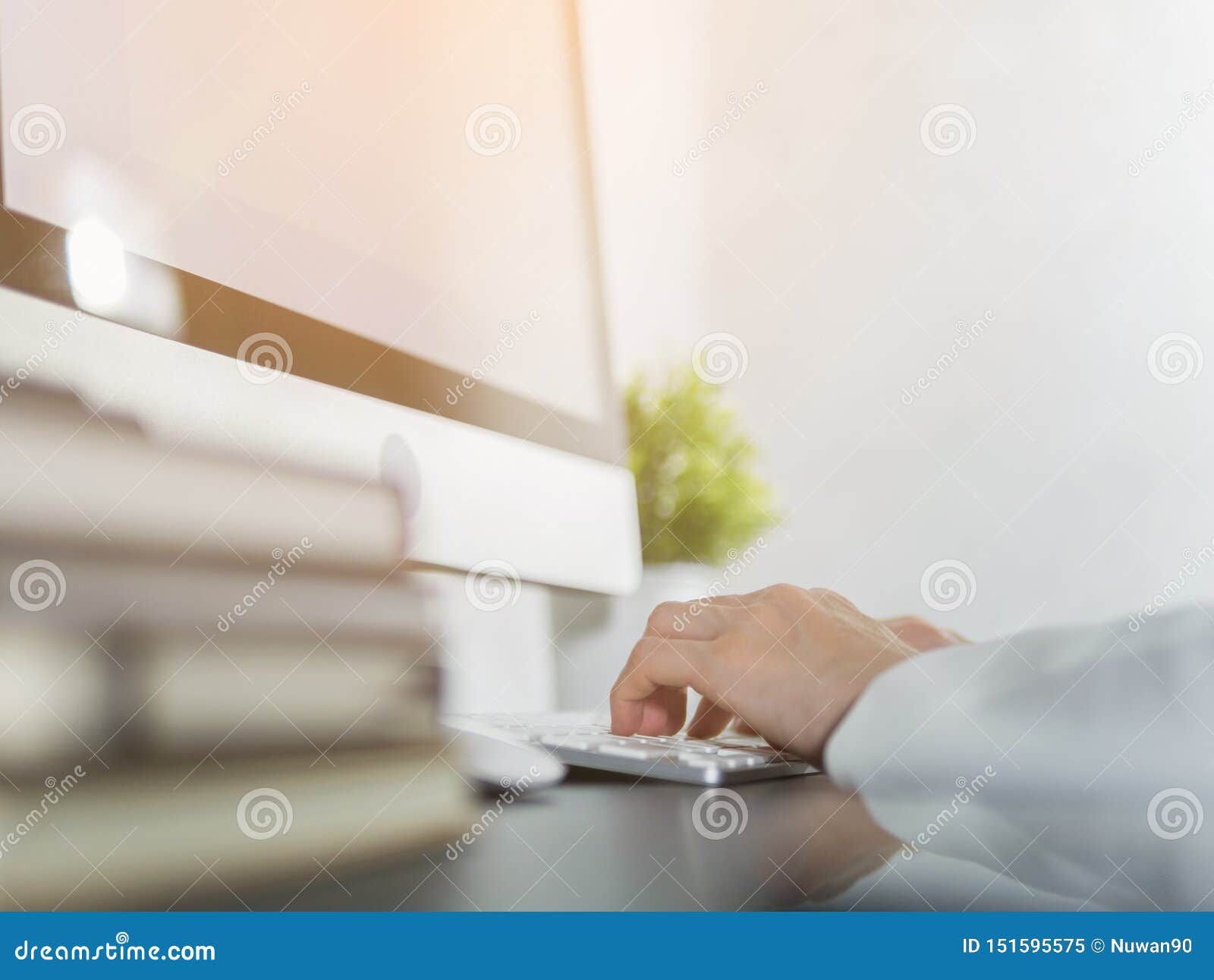 Business Woman Typing on Computer in Modern Office Stock Image - Image ...