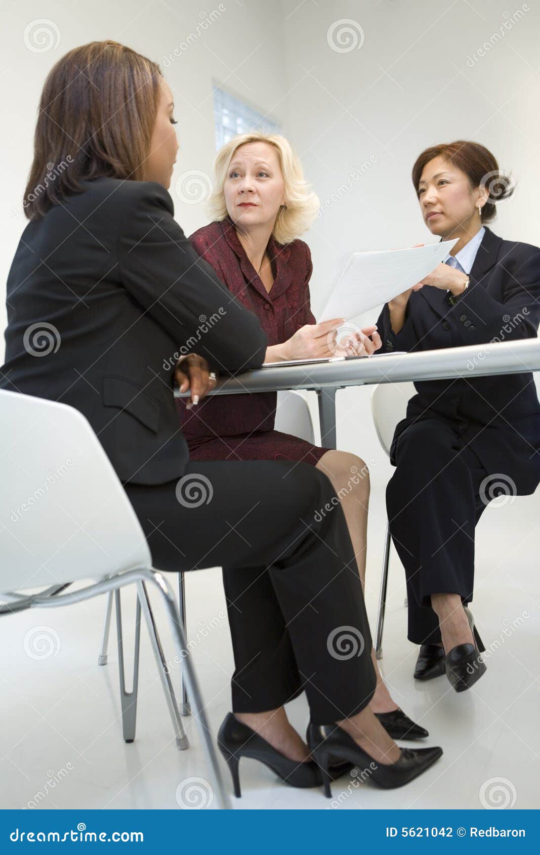 Business Women in Meeting stock photo. Image of professionals - 5621042