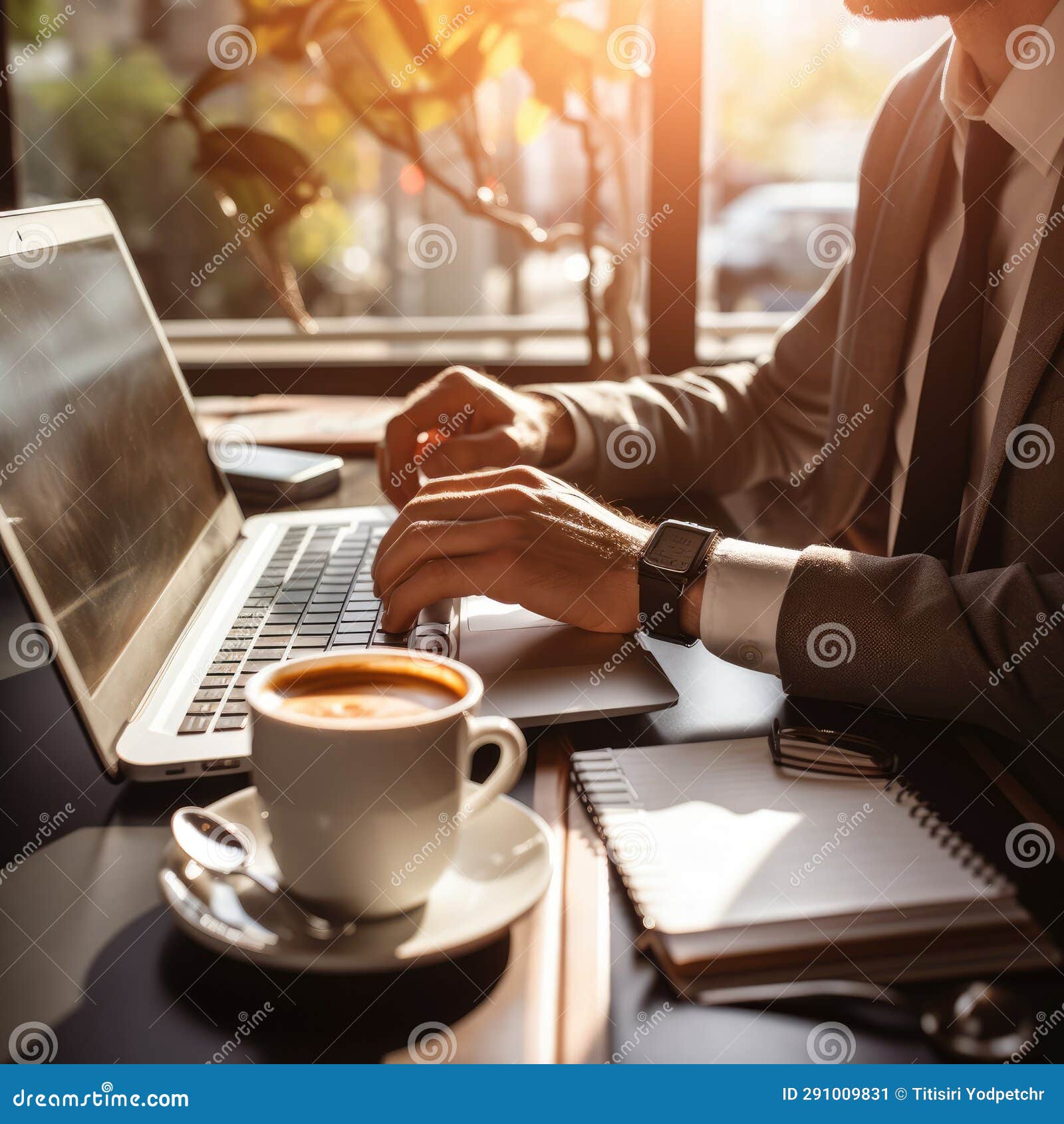 Business Working at the Laptop Sunshine Stock Illustration ...