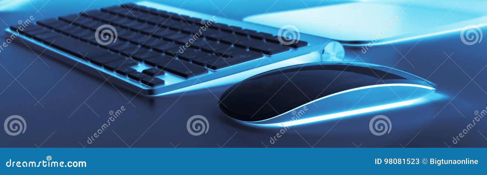 Computer Wireless Mouse Front View, Isolated On White Or Transparent ...