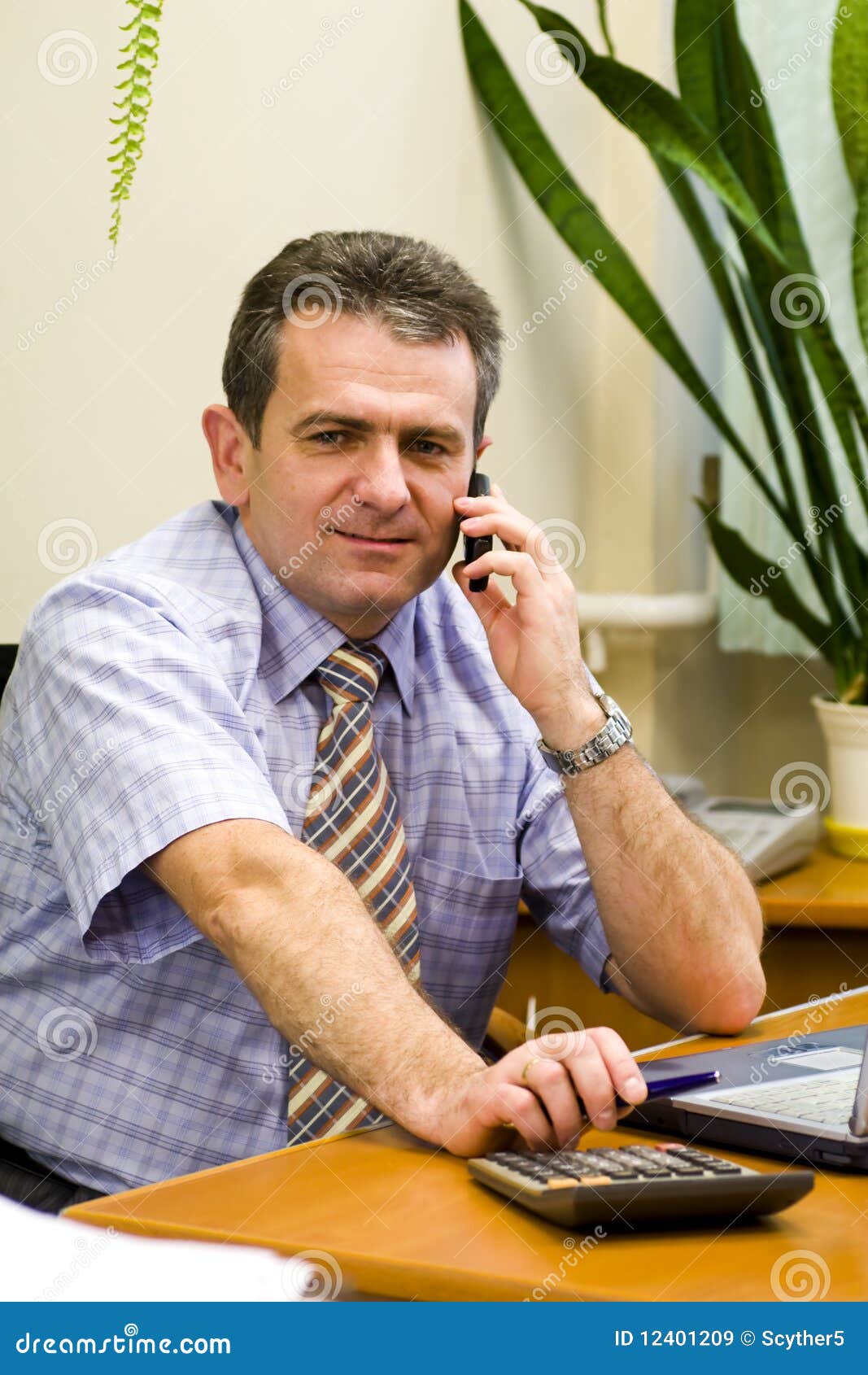 Businessman stock image. Image of white, expertise, business - 12401209