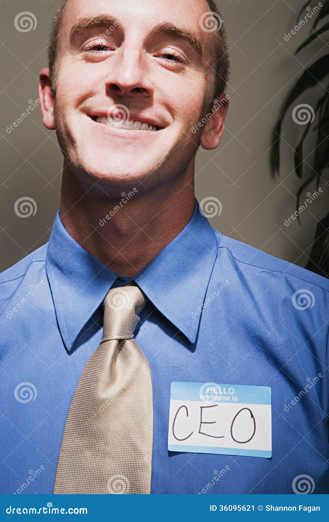 Businessman Achieving Success Stock Image - Image of achievement ...