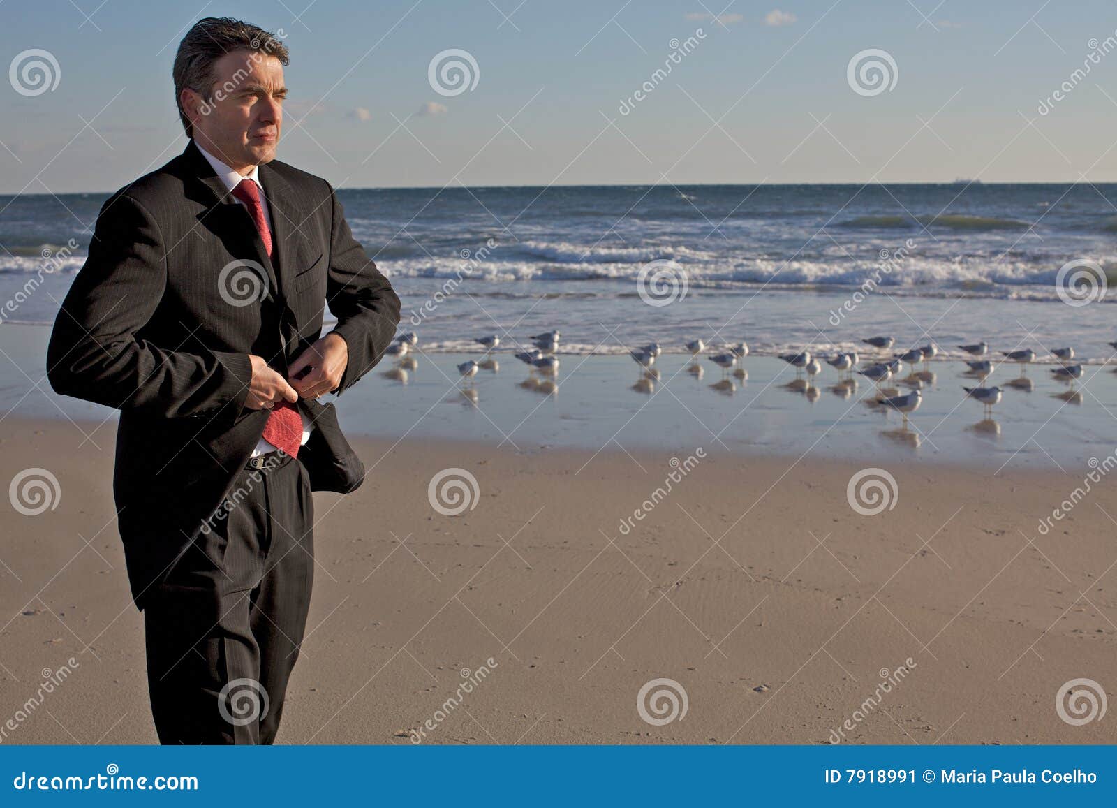 Businessman on the beach stock image. Image of manager - 7918991
