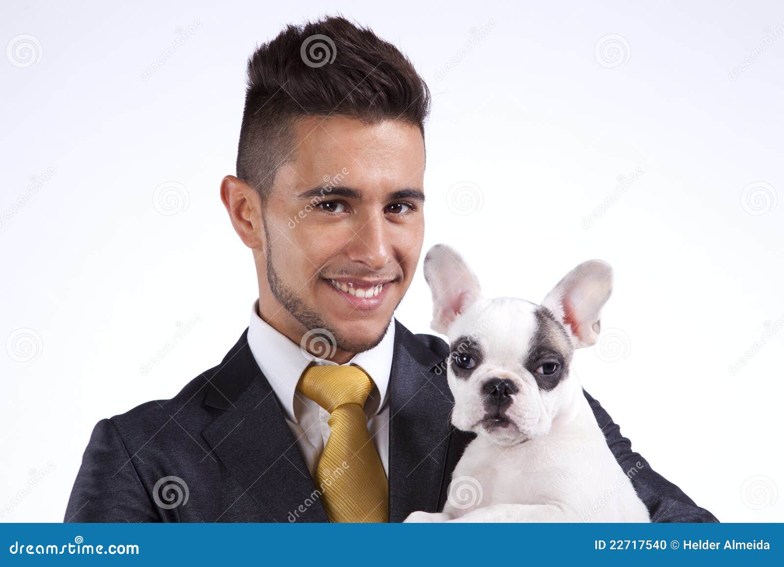 Businessman with a Boston Terrier Dog Stock Photo - Image of animal ...