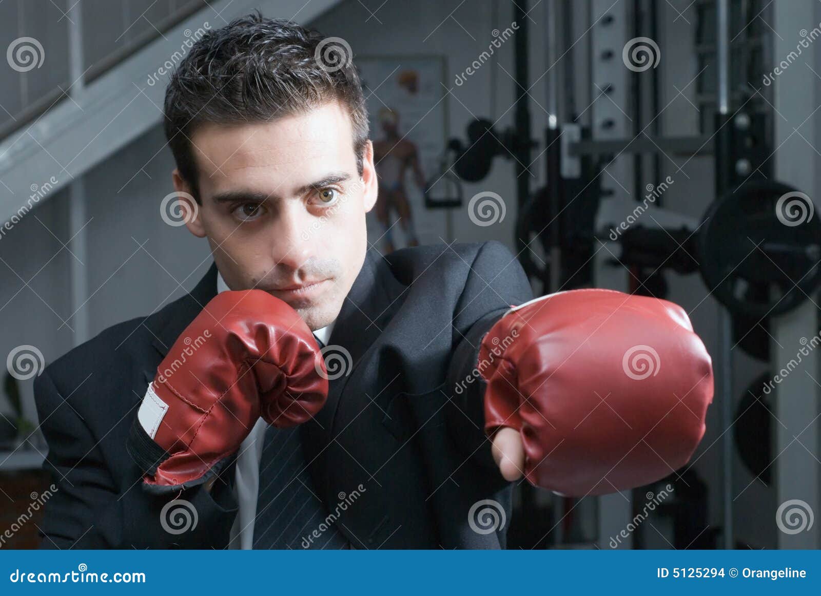 Businessman with Boxing Gloves Stock Photo - Image of gloves, manager ...