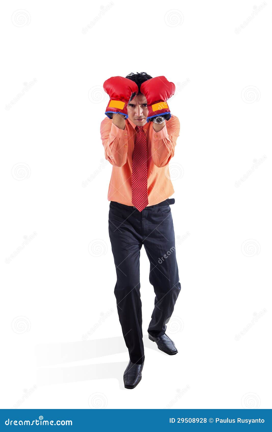 Businessman and Boxing Sport Stock Photo - Image of male, defeat: 29508928