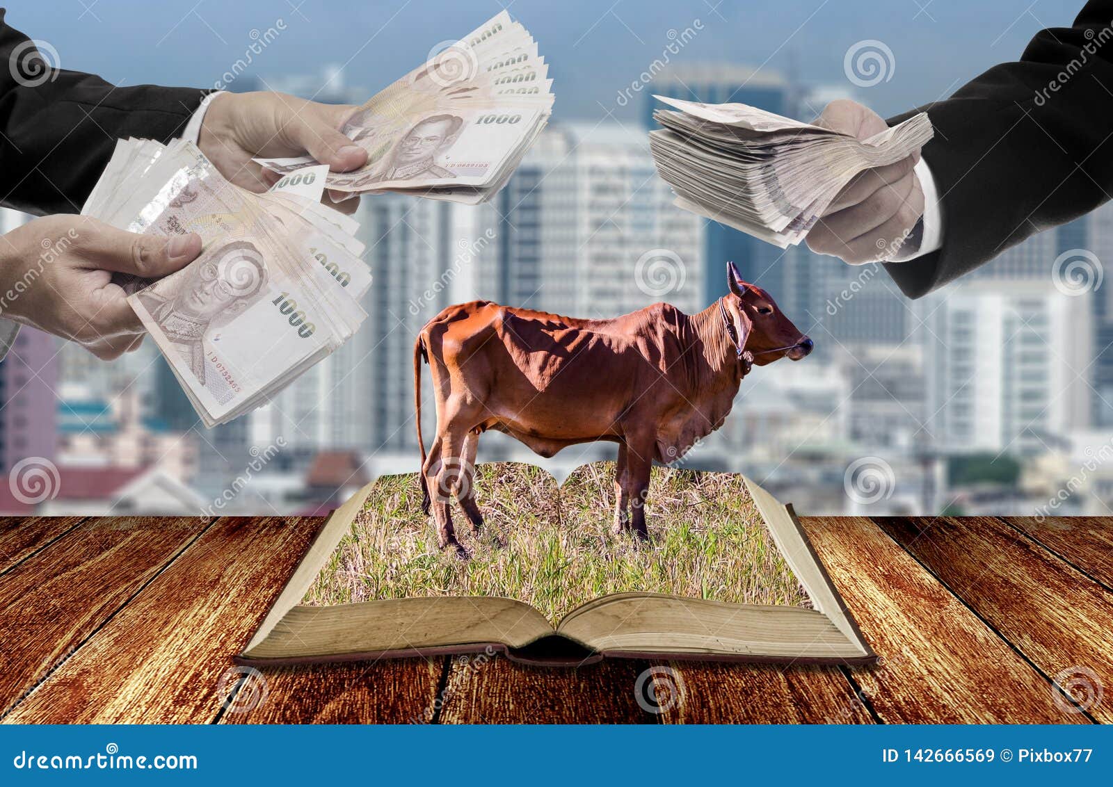 106 Financial Livestock Stock Photos - Free & Royalty-Free Stock Photos ...