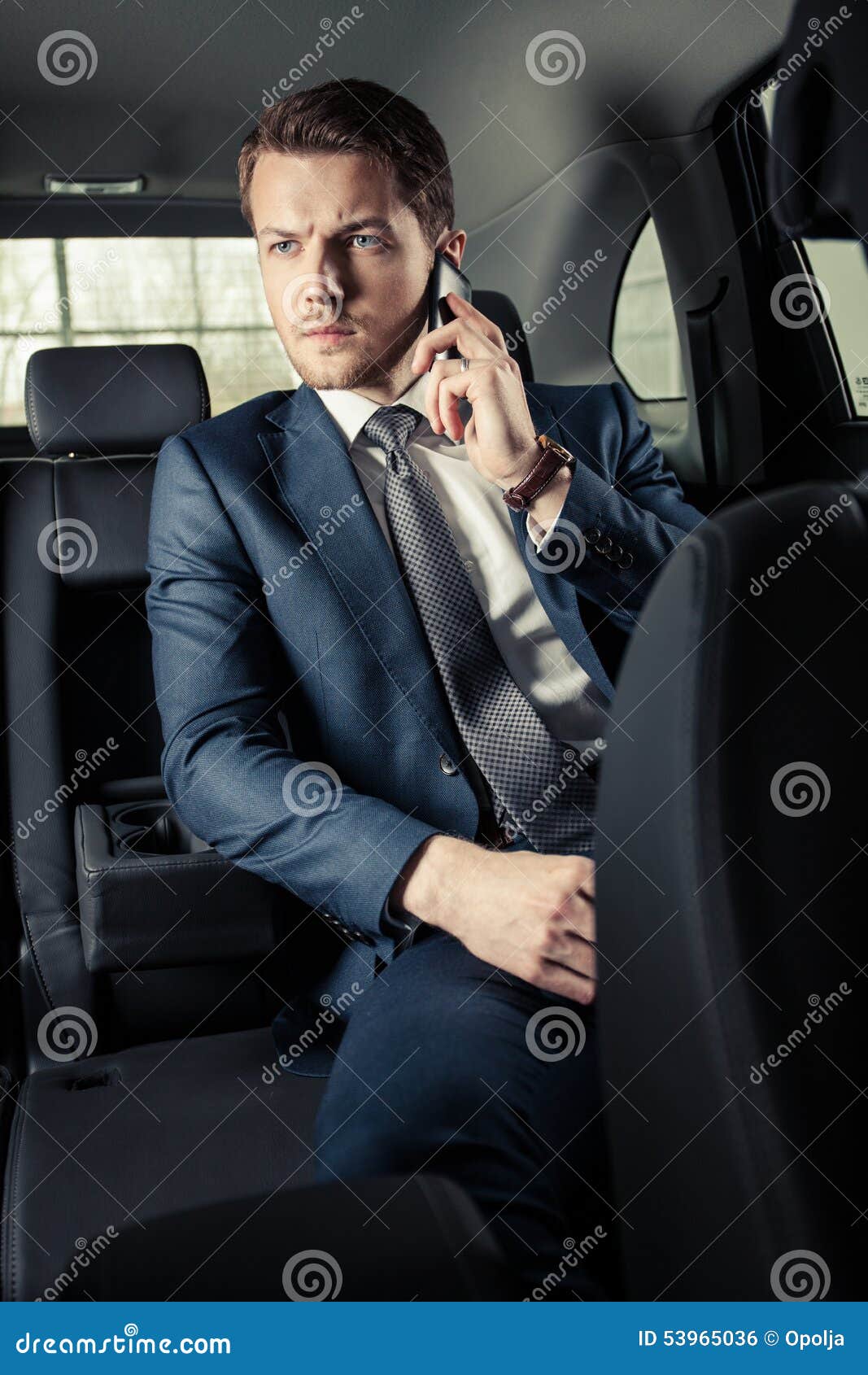 Businessman in the car stock photo. Image of luxury, insurance - 53965036