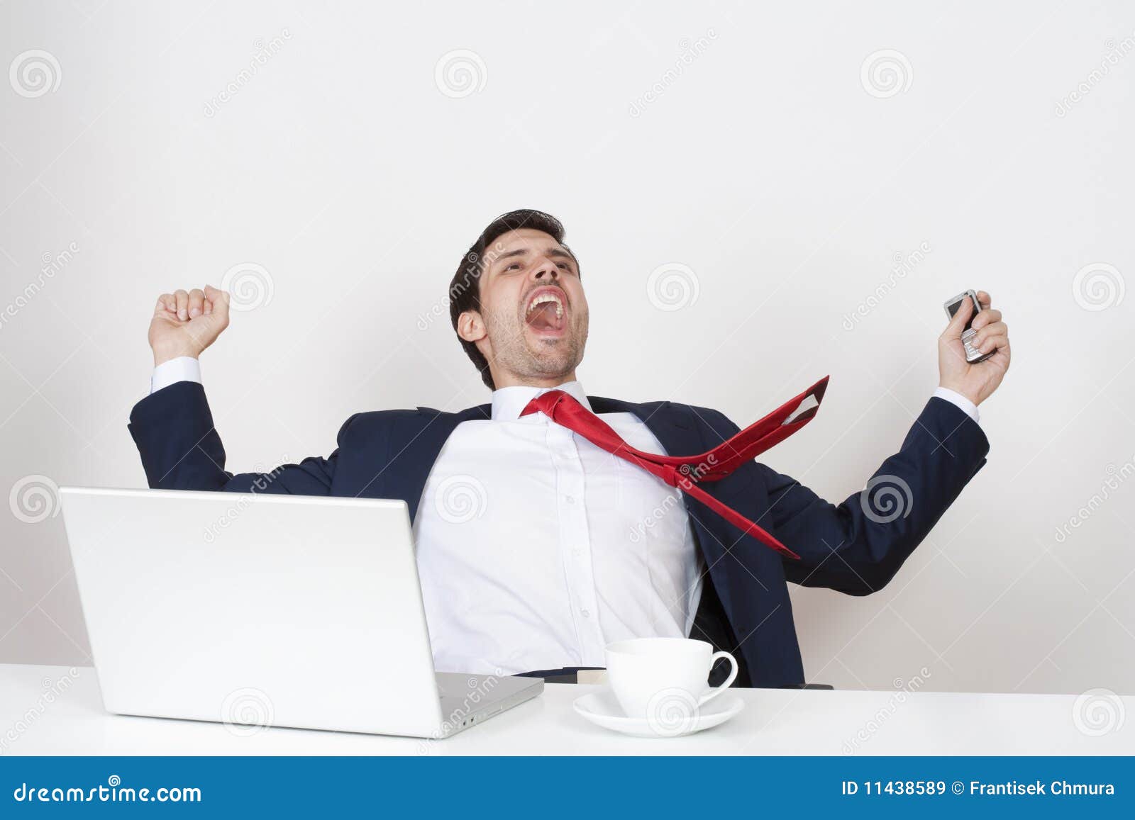 Businessman cheering stock image. Image of happy, success - 11438589