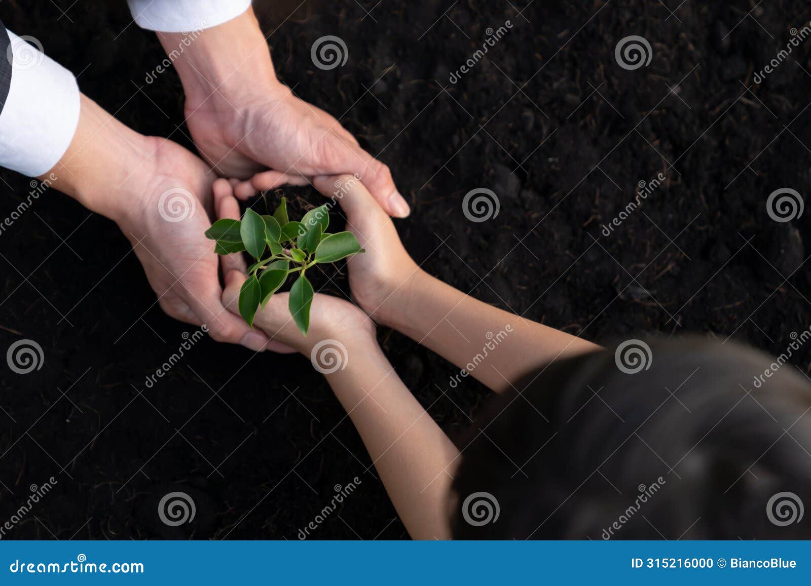 Businessman and Child Grow and Nurture Plant on Fertilized Soil Concept ... Businessman and Child Grow and Nurture Plant on Fertilized Soil Concept ...