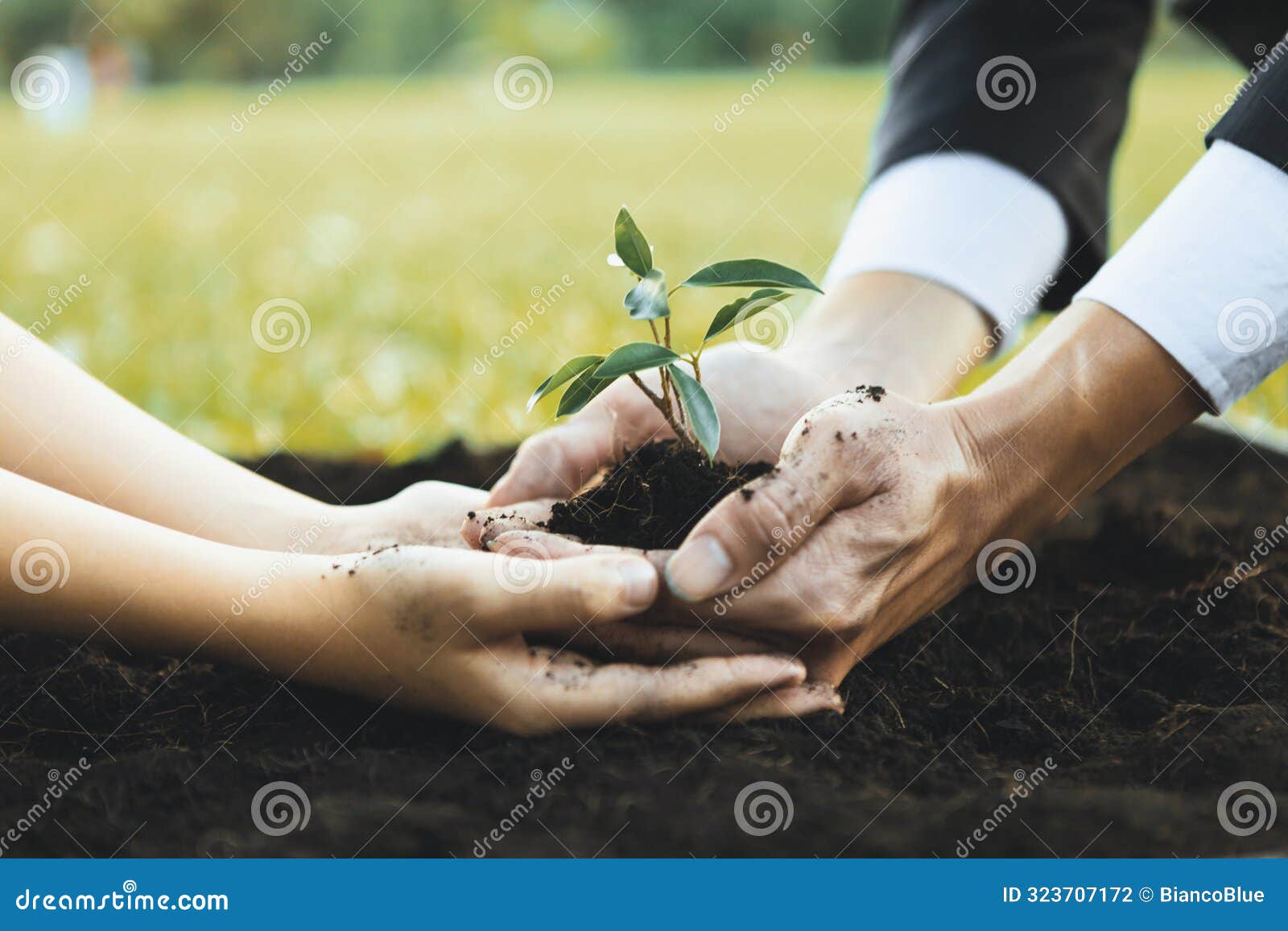 Businessman and Child Grow and Nurture Plant on Fertilized Soil Concept ... Businessman and Child Grow and Nurture Plant on Fertilized Soil Concept ...