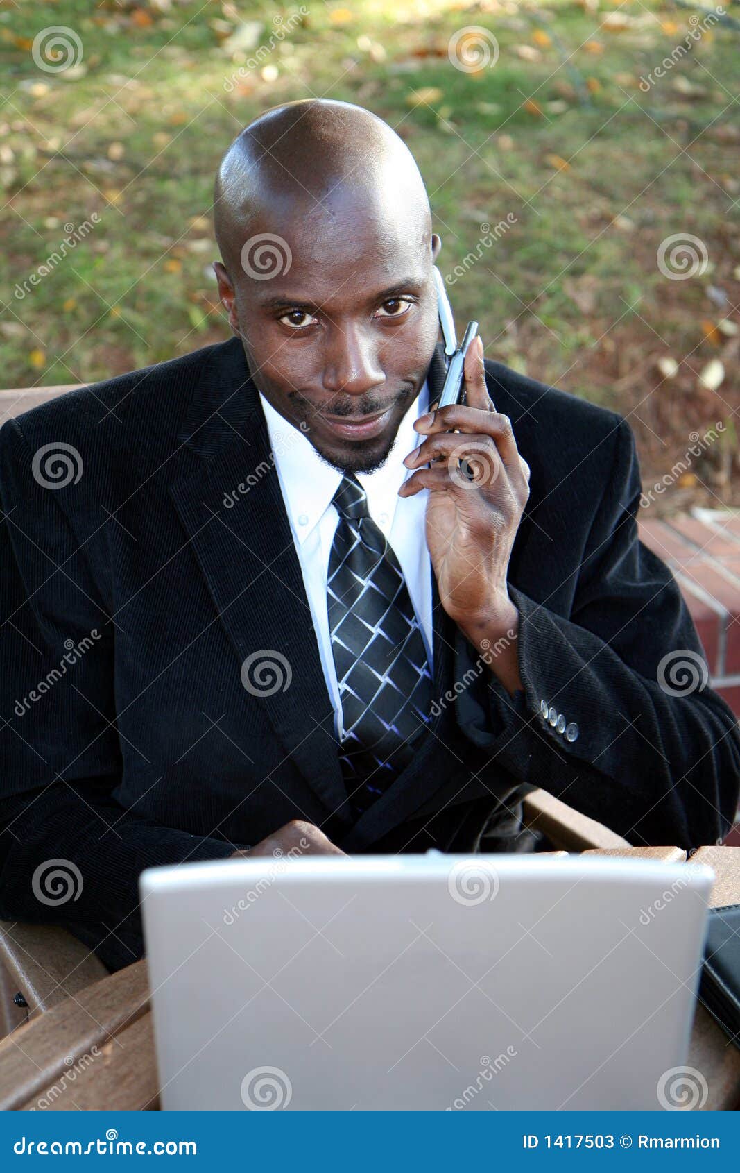 Businessman on Computer stock image. Image of executive - 1417503