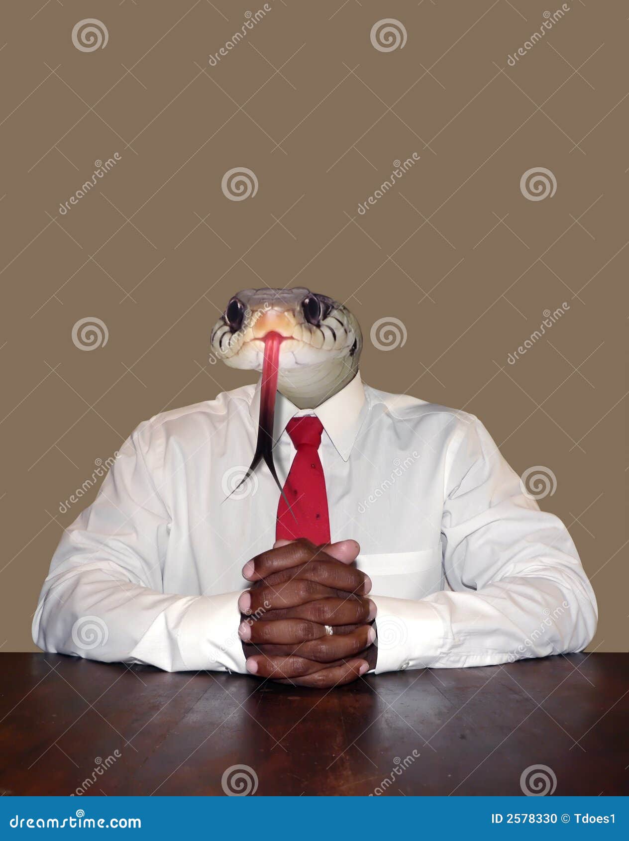 Businessman - dishonest stock photo. Image of sitting - 2578330