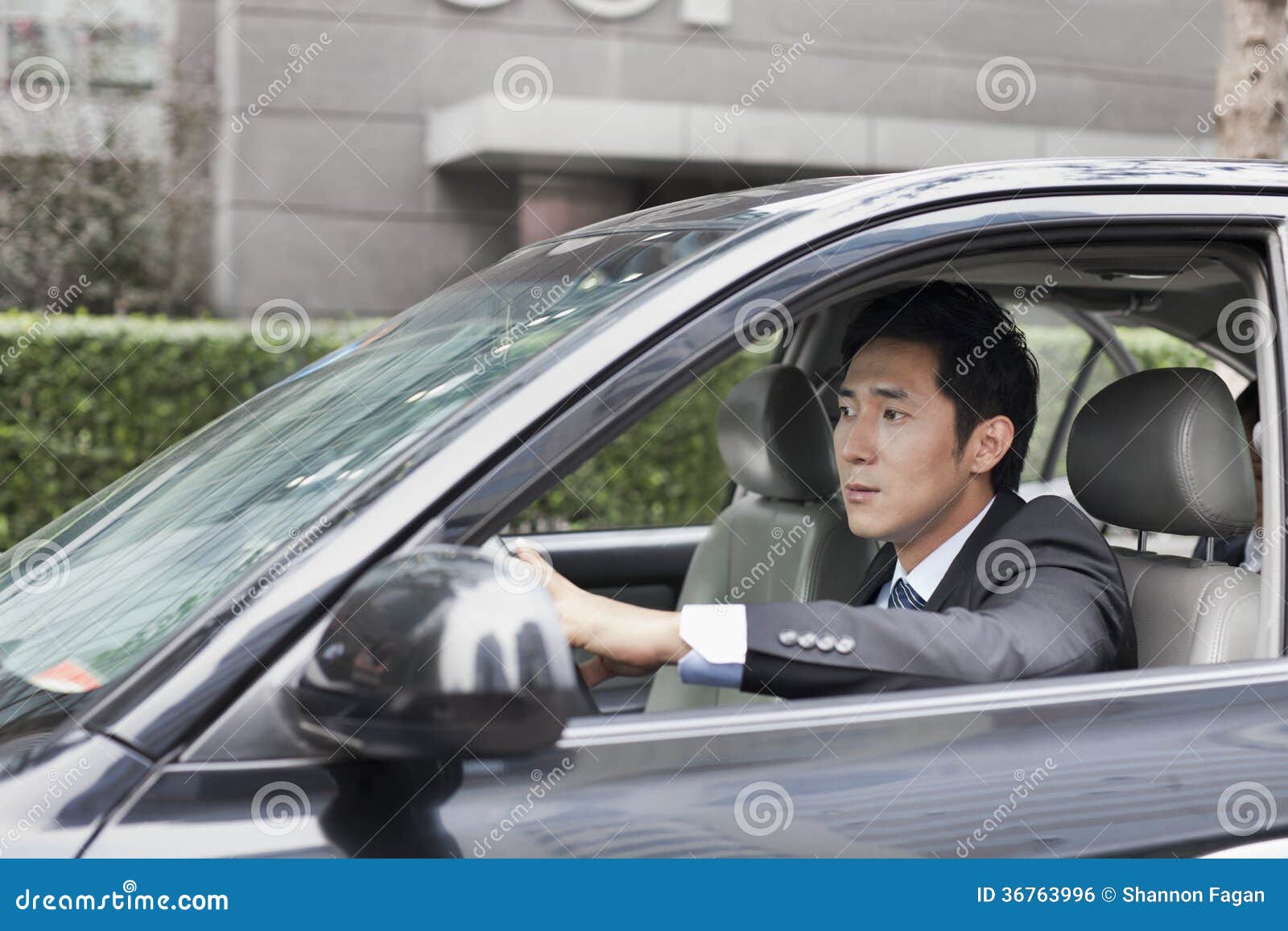 Businessman Driving Car stock photo. Image of lifestyles - 36763996