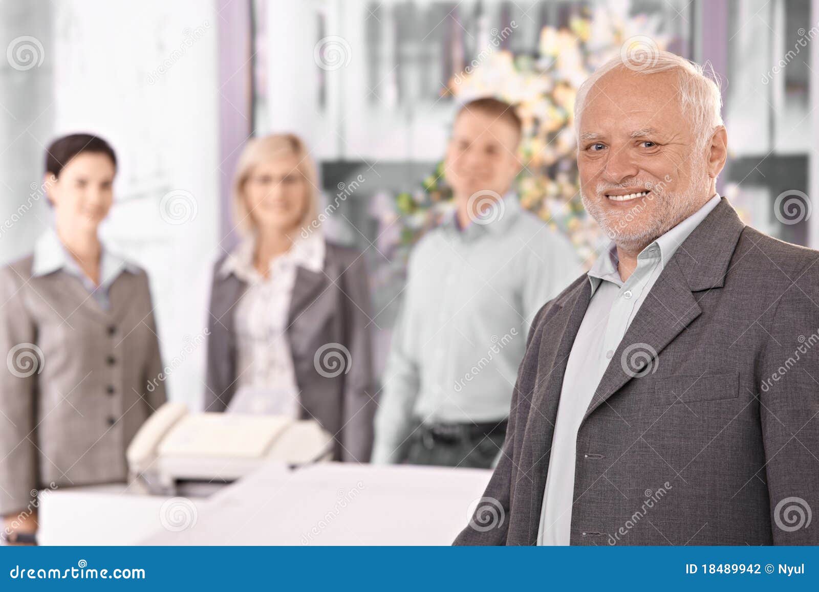 Businessman Executive Portrait Senior Team 库存照片 - 图片 包括有 设计, 颜色: 18489942