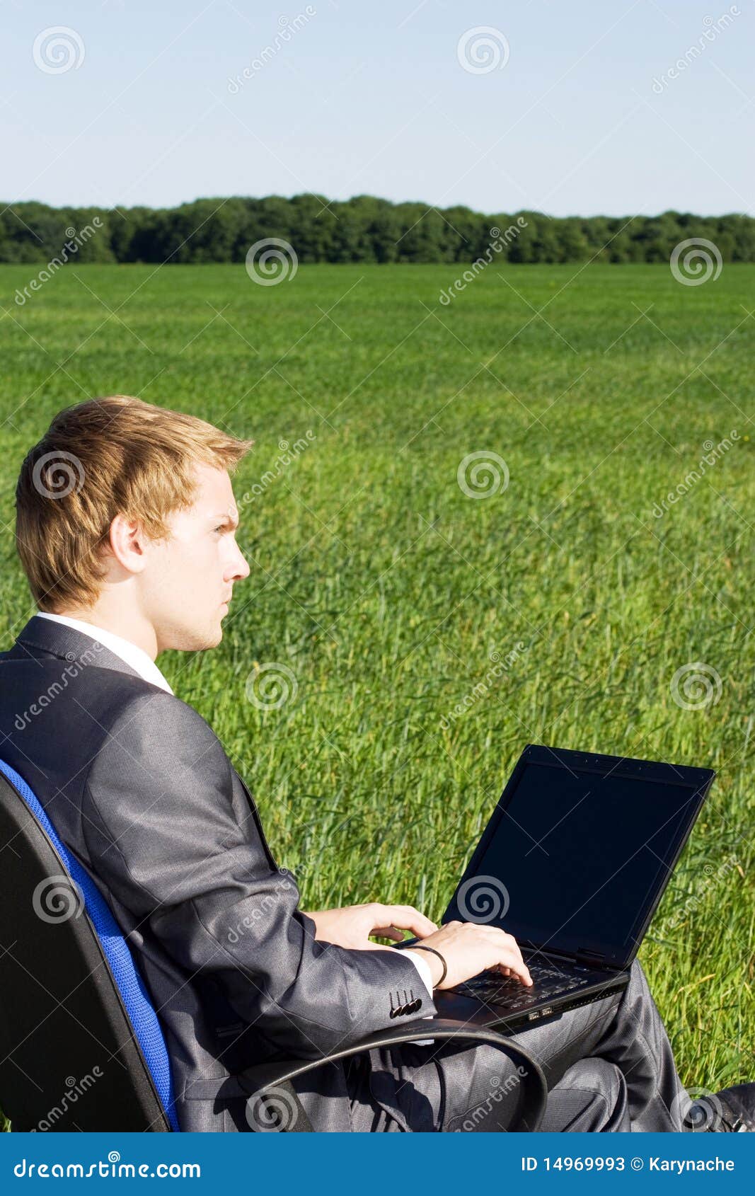 Businessman in the Field, with a Laptop Stock Image - Image of computer ...