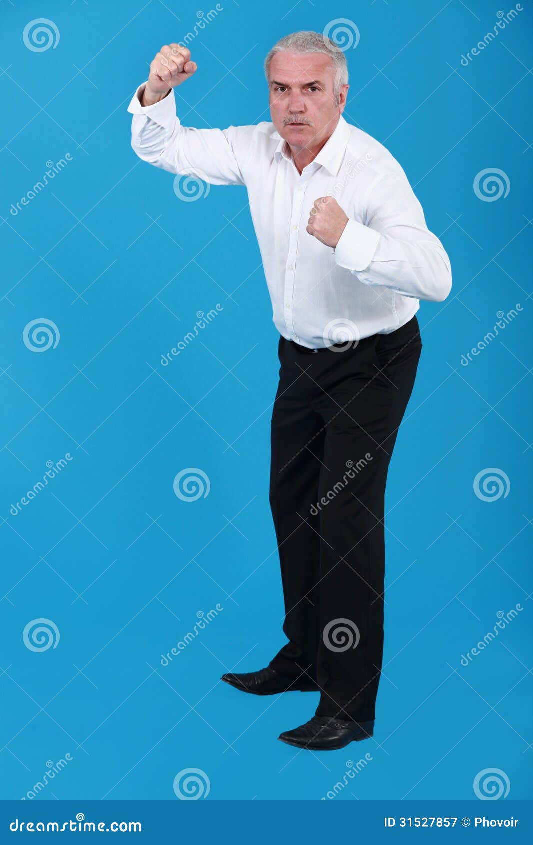 Businessman in a Fighting Stance. Stock Image - Image of mature ...