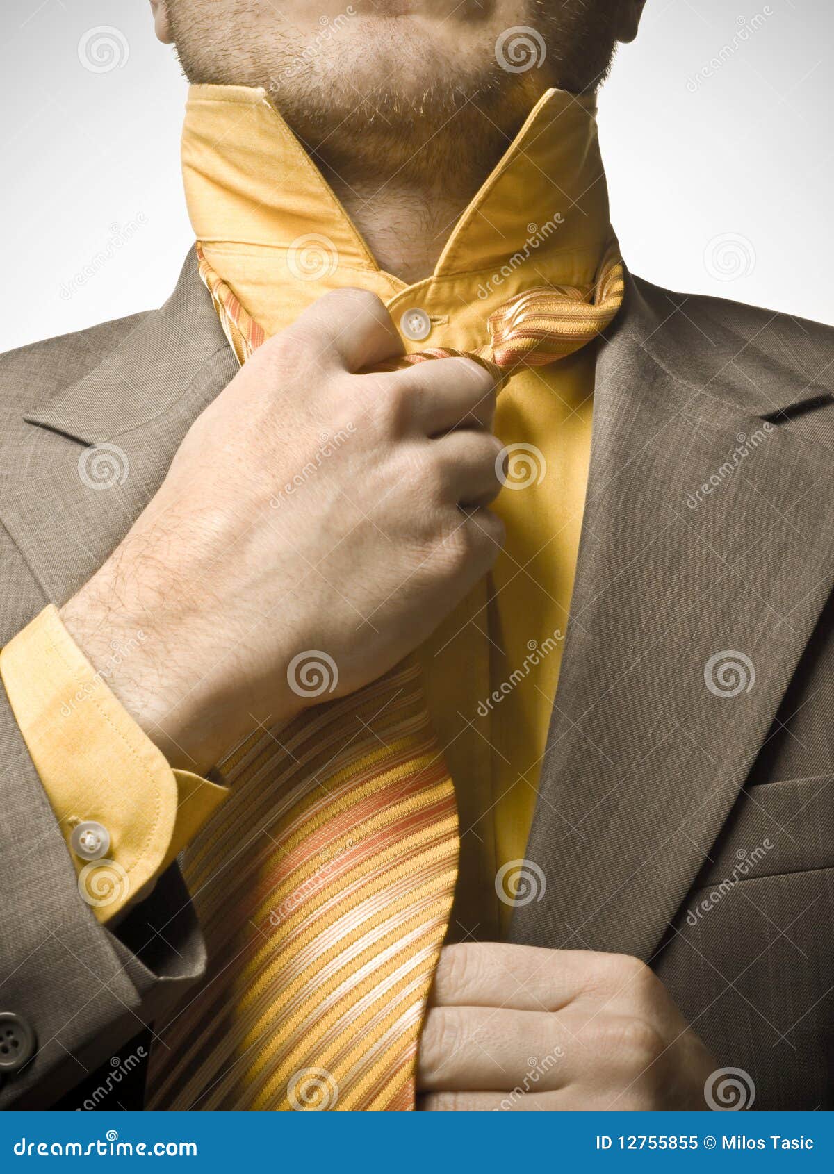 Businessman Fixing Tie stock image. Image of person, leadership - 12755855