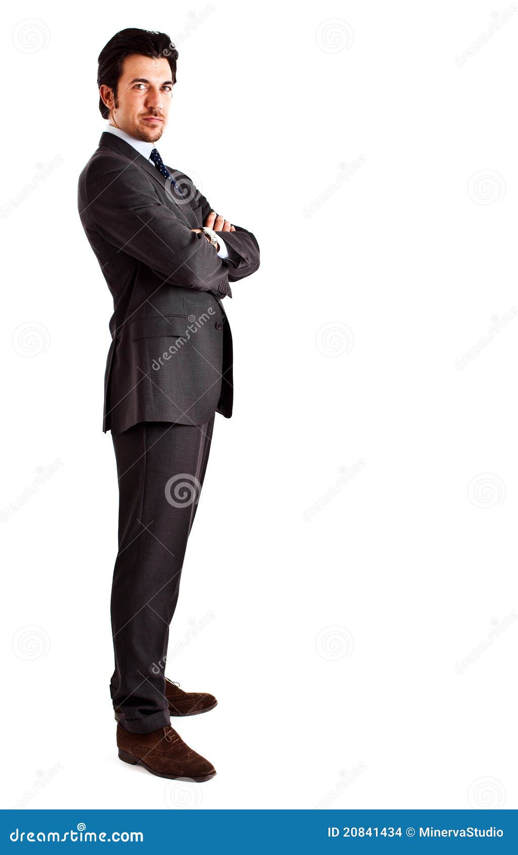 Businessman full length stock photo. Image of director - 20841434