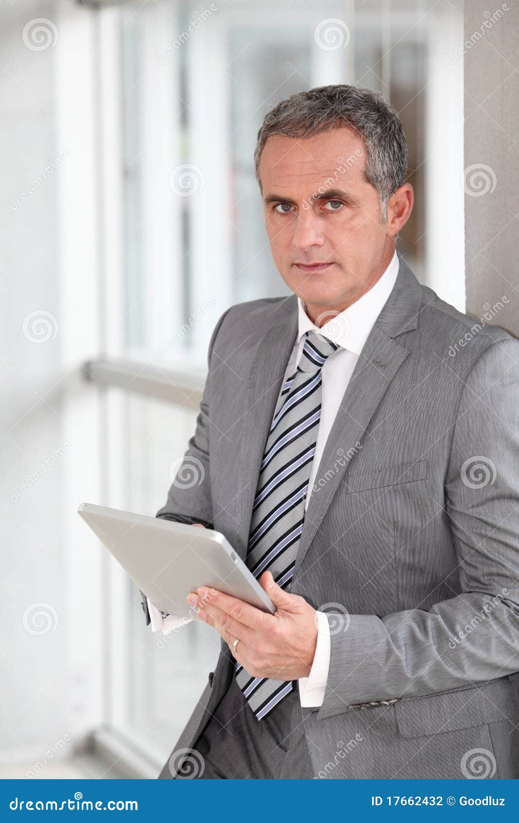 Businessman with grey suit stock photo. Image of executive - 17662432