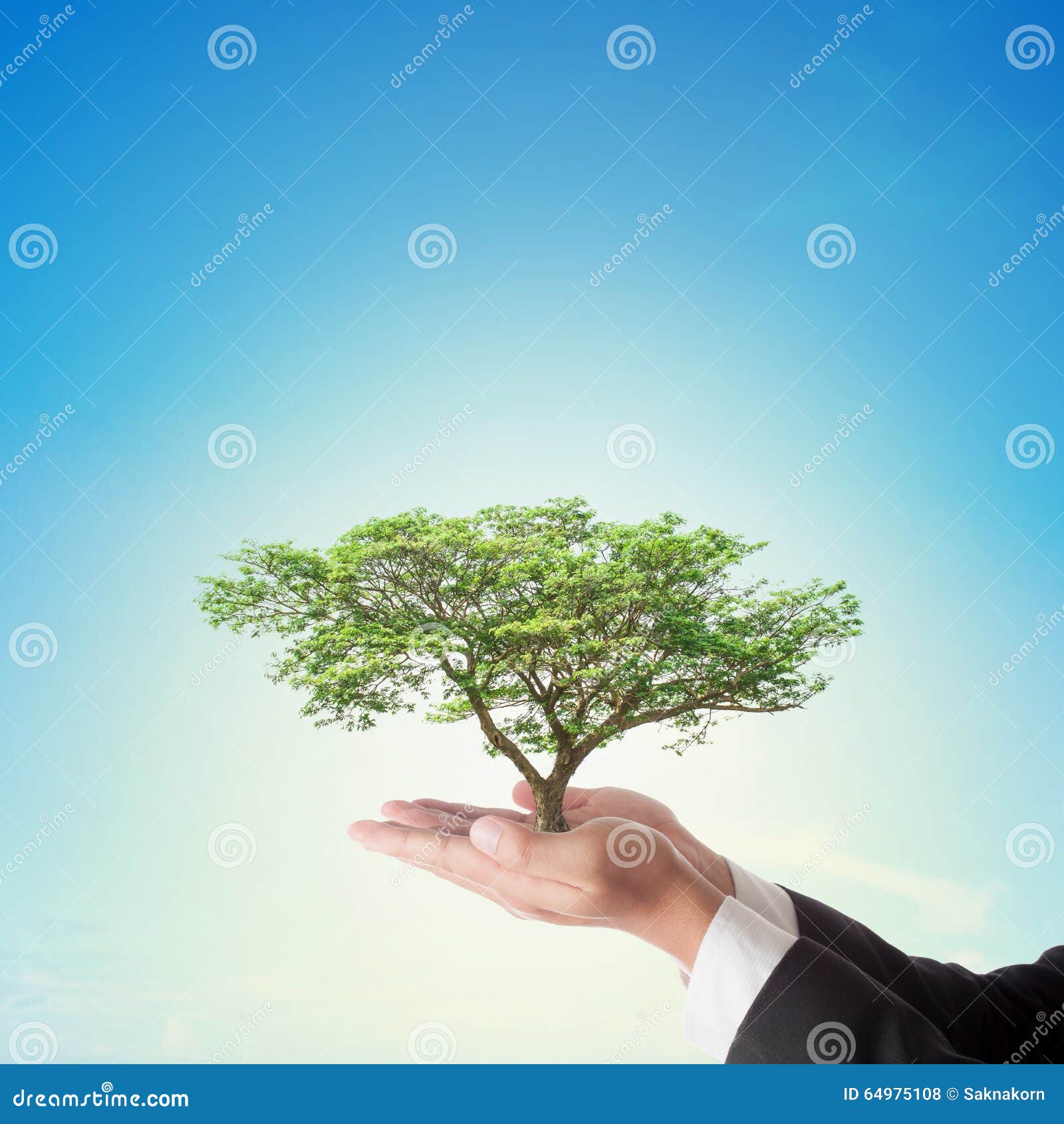 Businessman Hand Holding Big Tree with Blue Sky Stock Photo - Image of ... Businessman Hand Holding Big Tree with Blue Sky Stock Photo - Image of ...