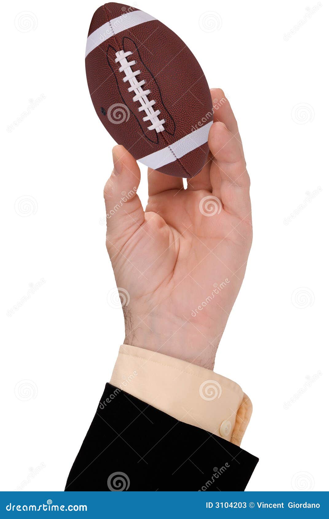 Businessman Hand Holding a Foo Stock Image - Image of taking, hold: 3104203