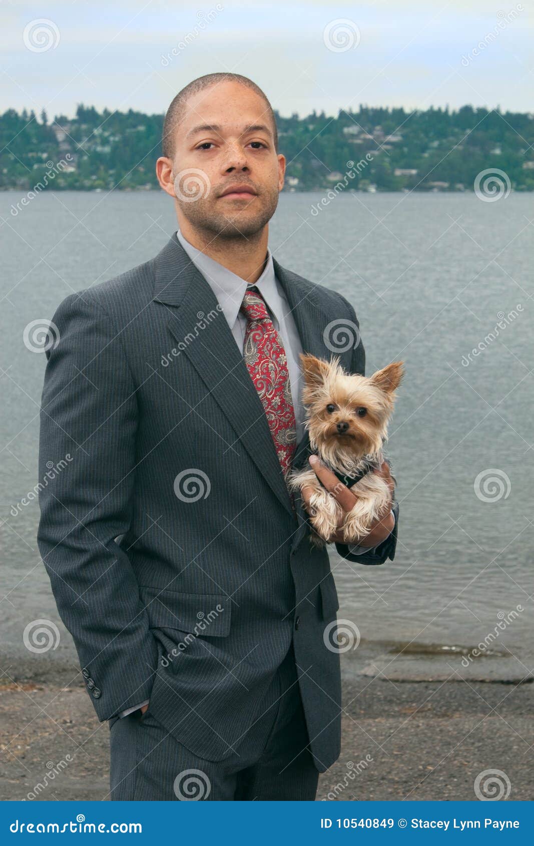 Businessman with his Dog stock image. Image of accomplished - 10540849