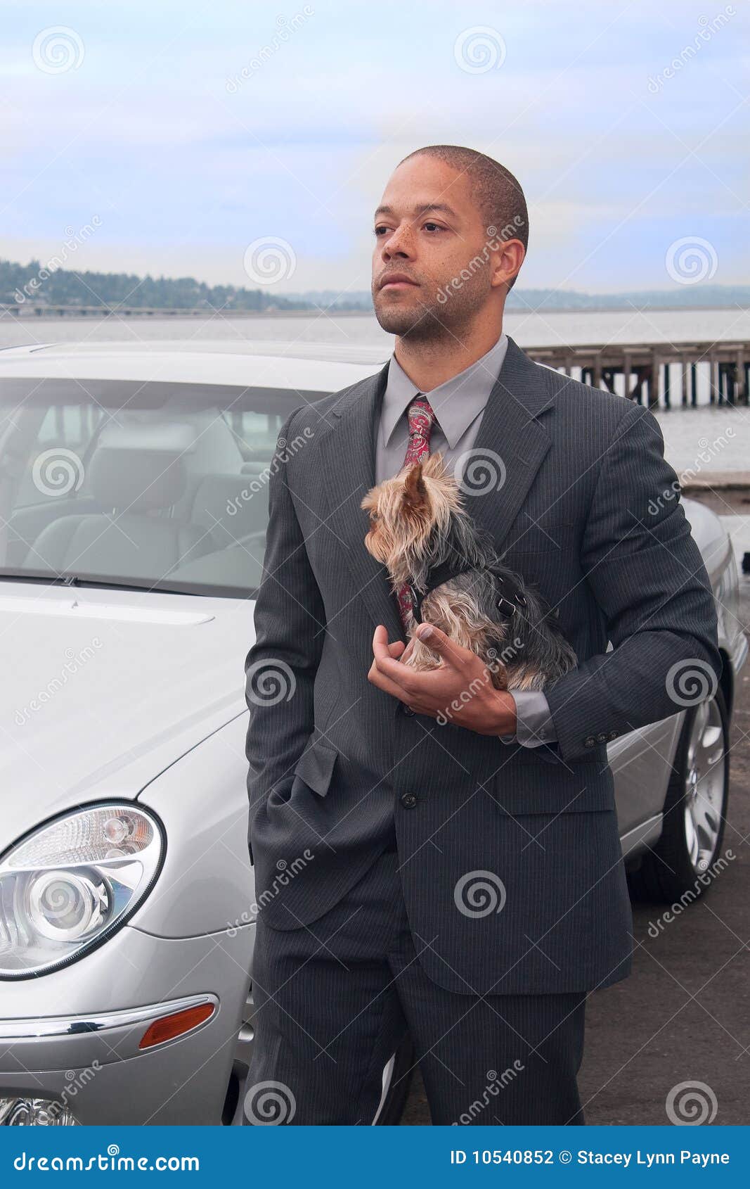 Businessman with his Dog stock photo. Image of business - 10540852