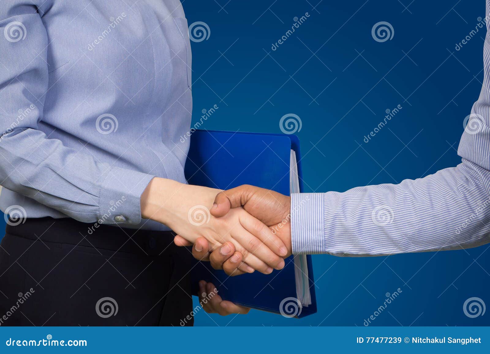 Businessman Holding Document File and Handshake with Customer on ...