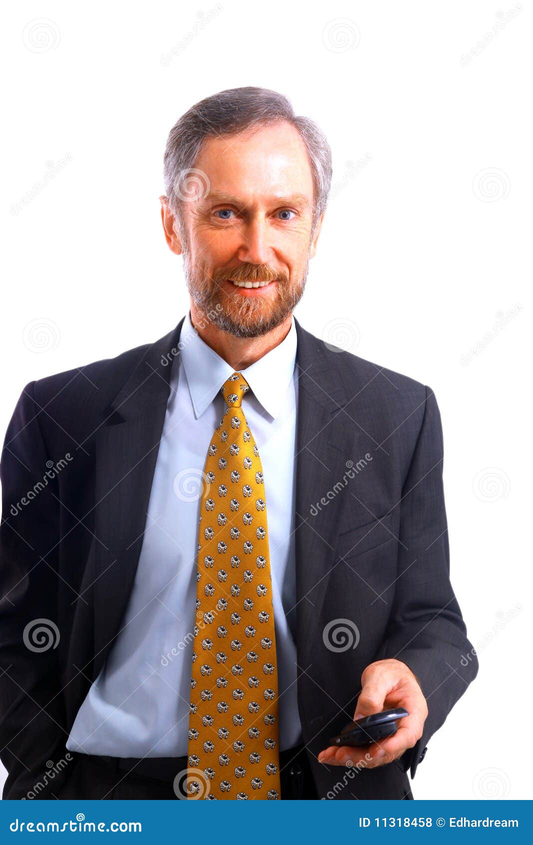 Businessman isolated stock photo. Image of isolated, leader - 11318458