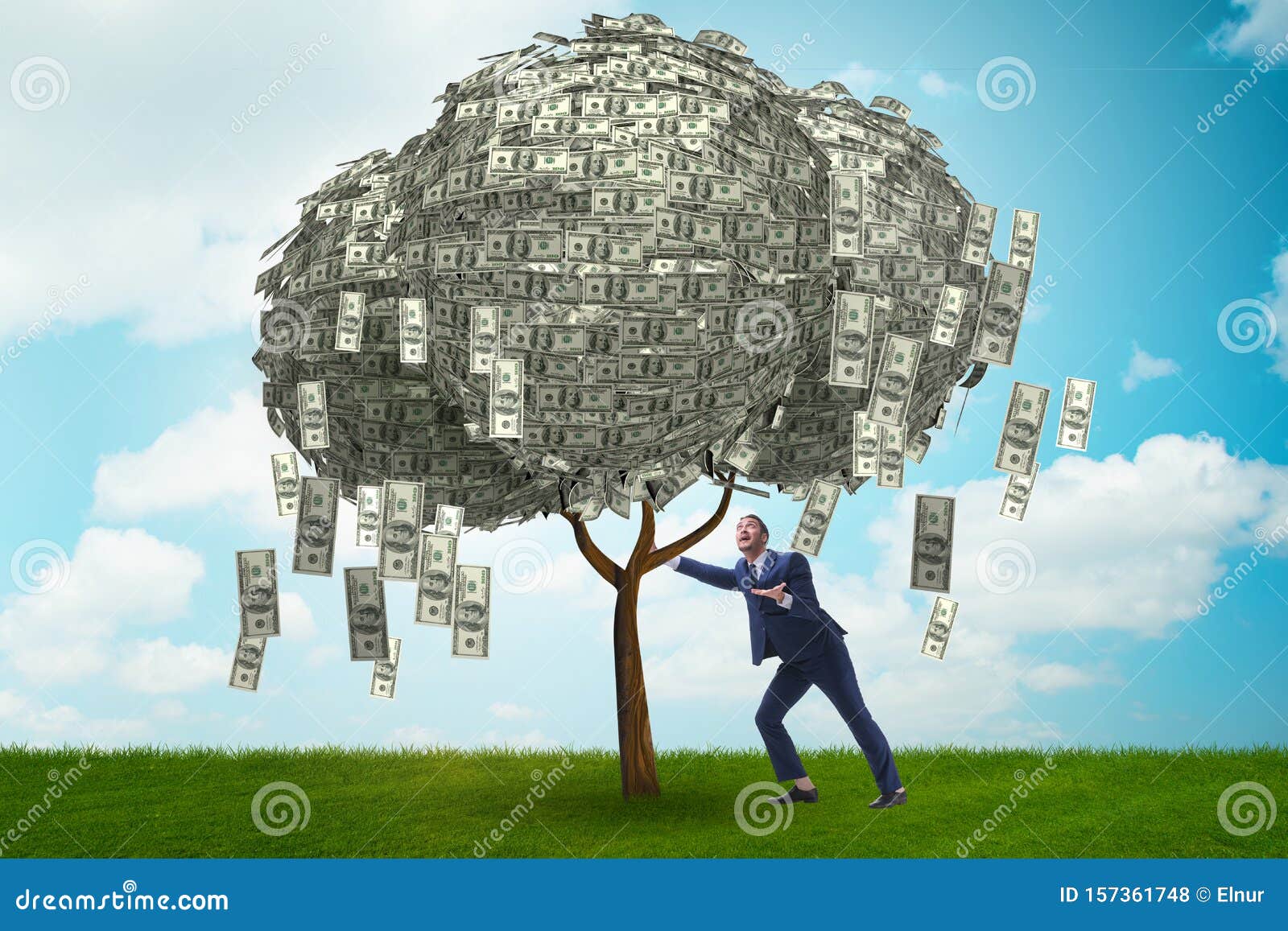 Businessman with Money Tree in Business Concept Stock Photo - Image of ...