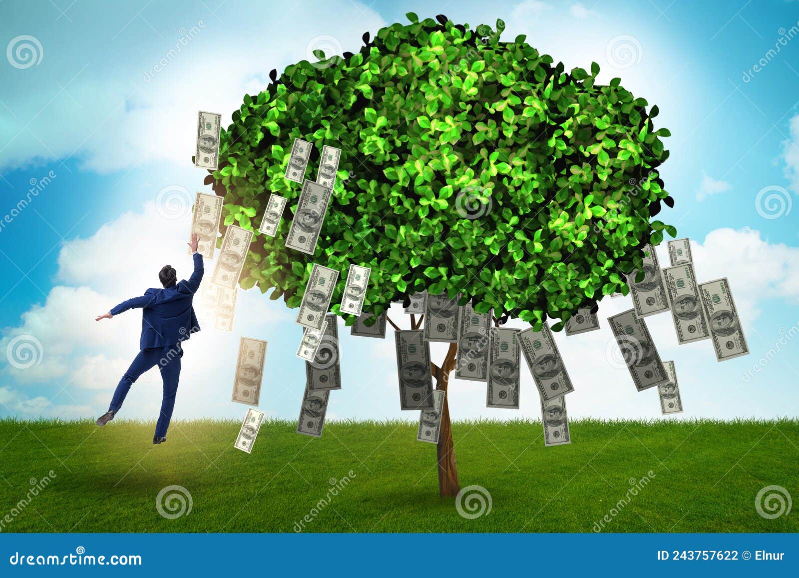 Businessman with Money Tree in Business Concept Stock Photo - Image of ...