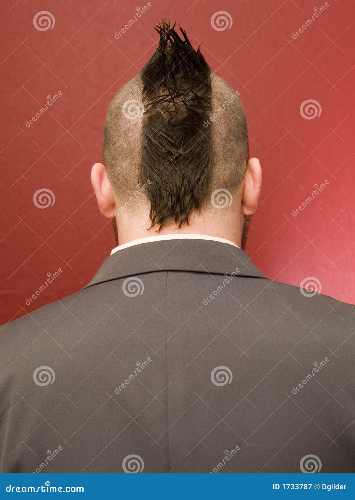 Businessman Mowhawk Head - Back Stock Image - Image of back, side: 1733787