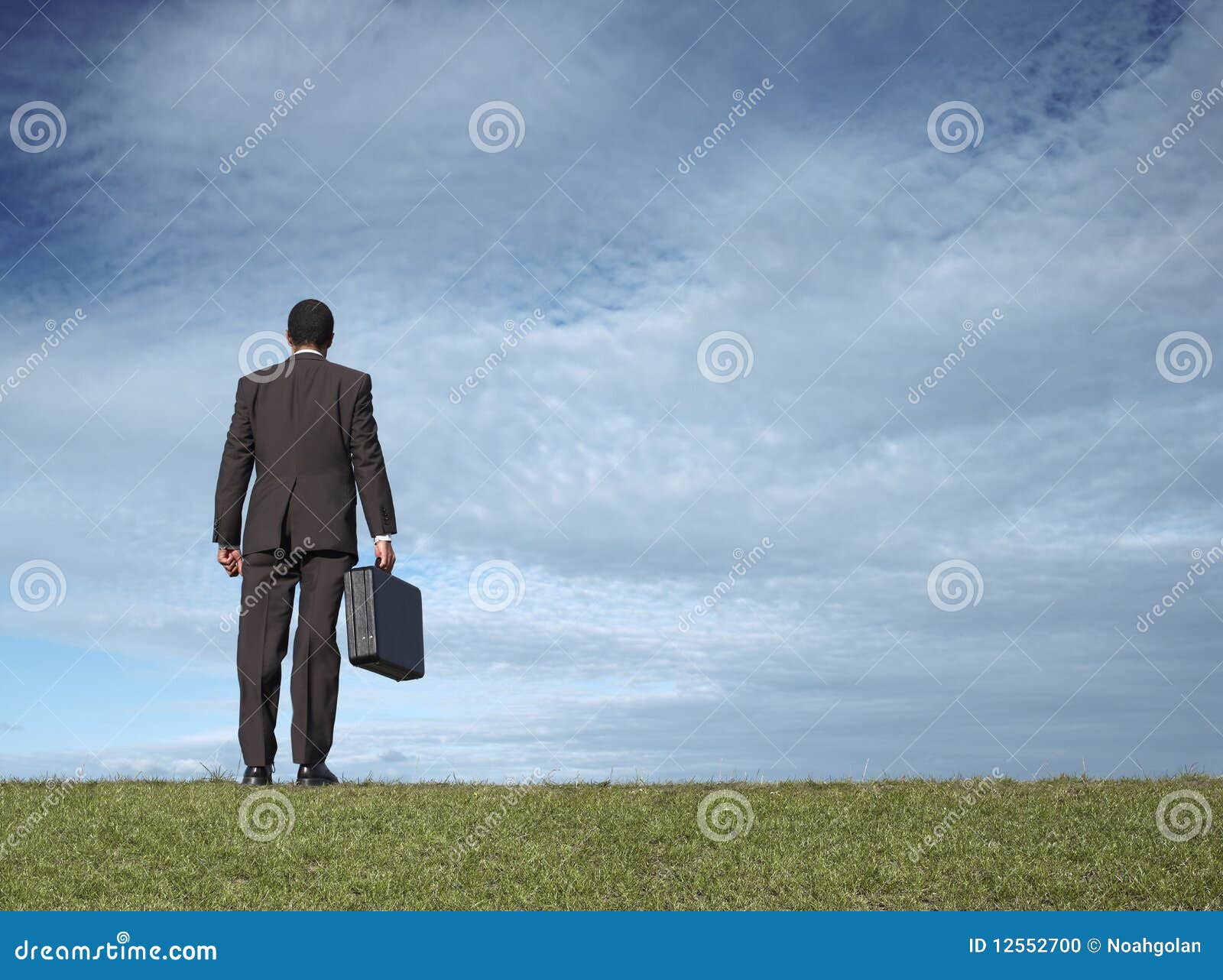 Businessman in open field stock photo. Image of holding - 12552700