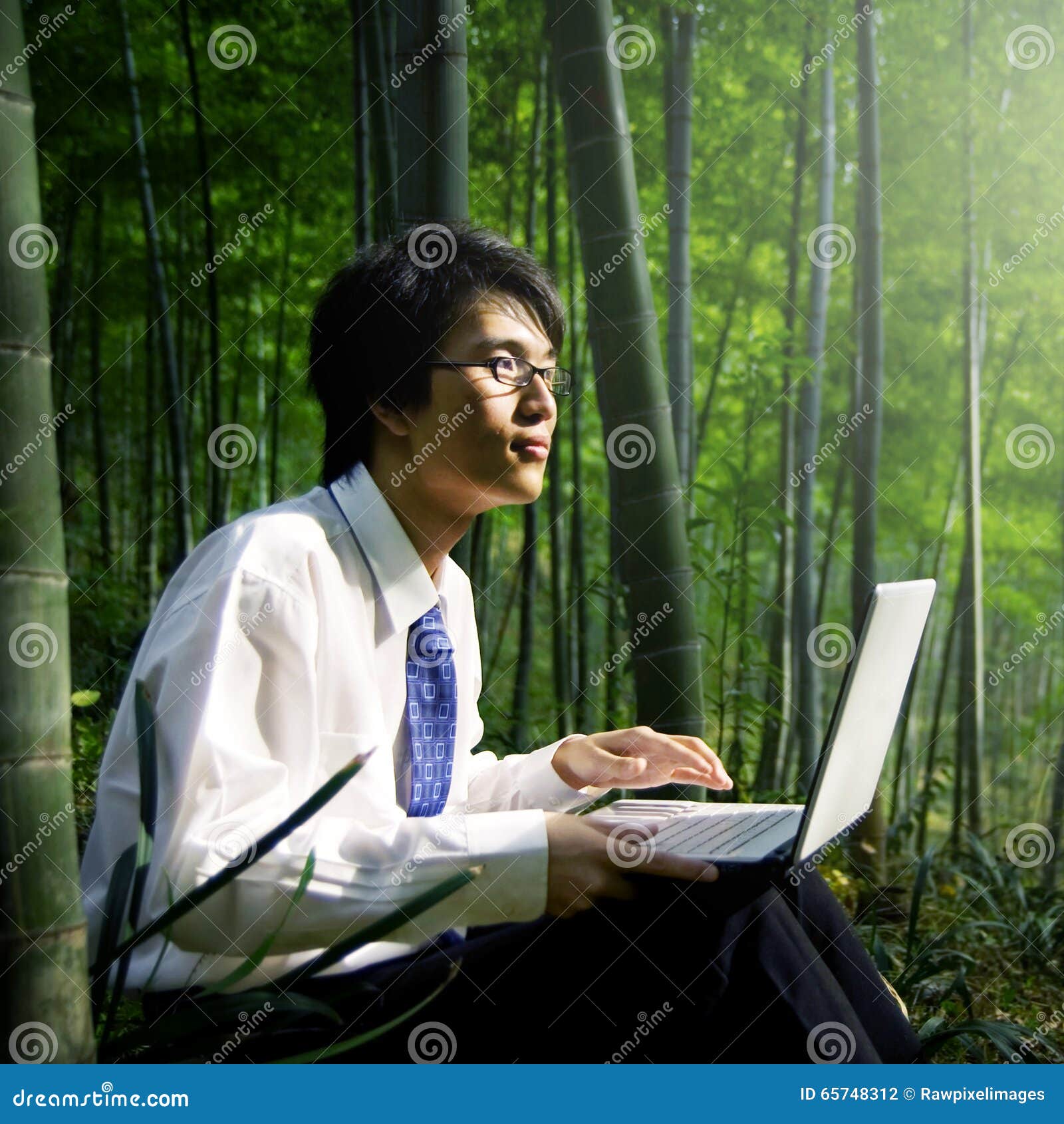 Businessman Outdoor Working Forest Inspiration Concept Stock Photo ...