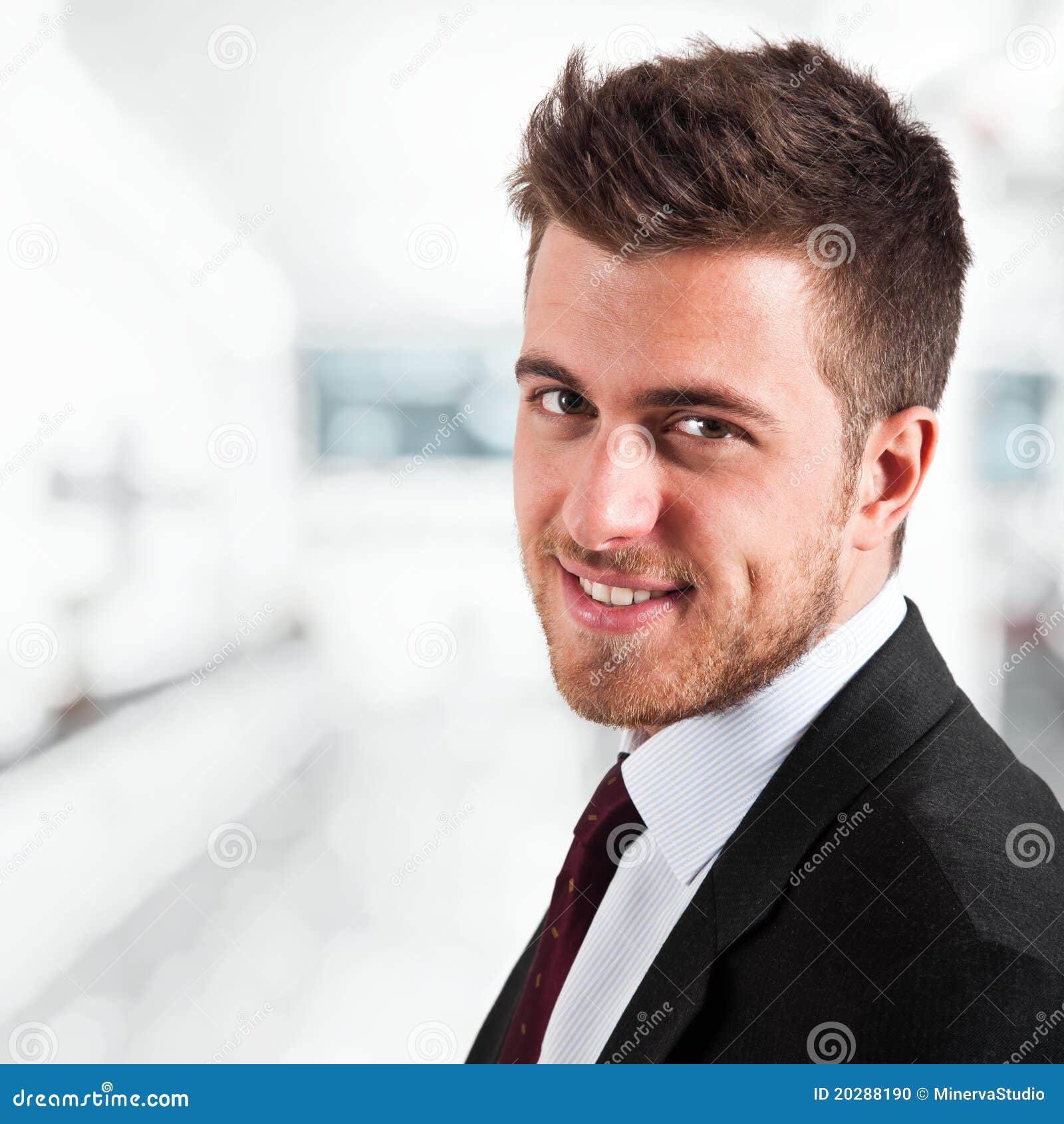 Businessman portrait stock photo. Image of company, smiling - 20288190