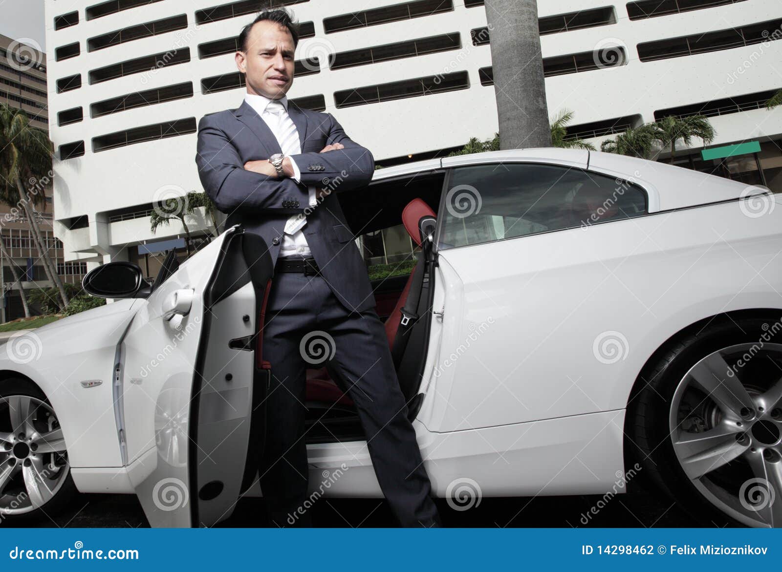 Businessman Posing By His Car Stock Photo - Image: 14298462