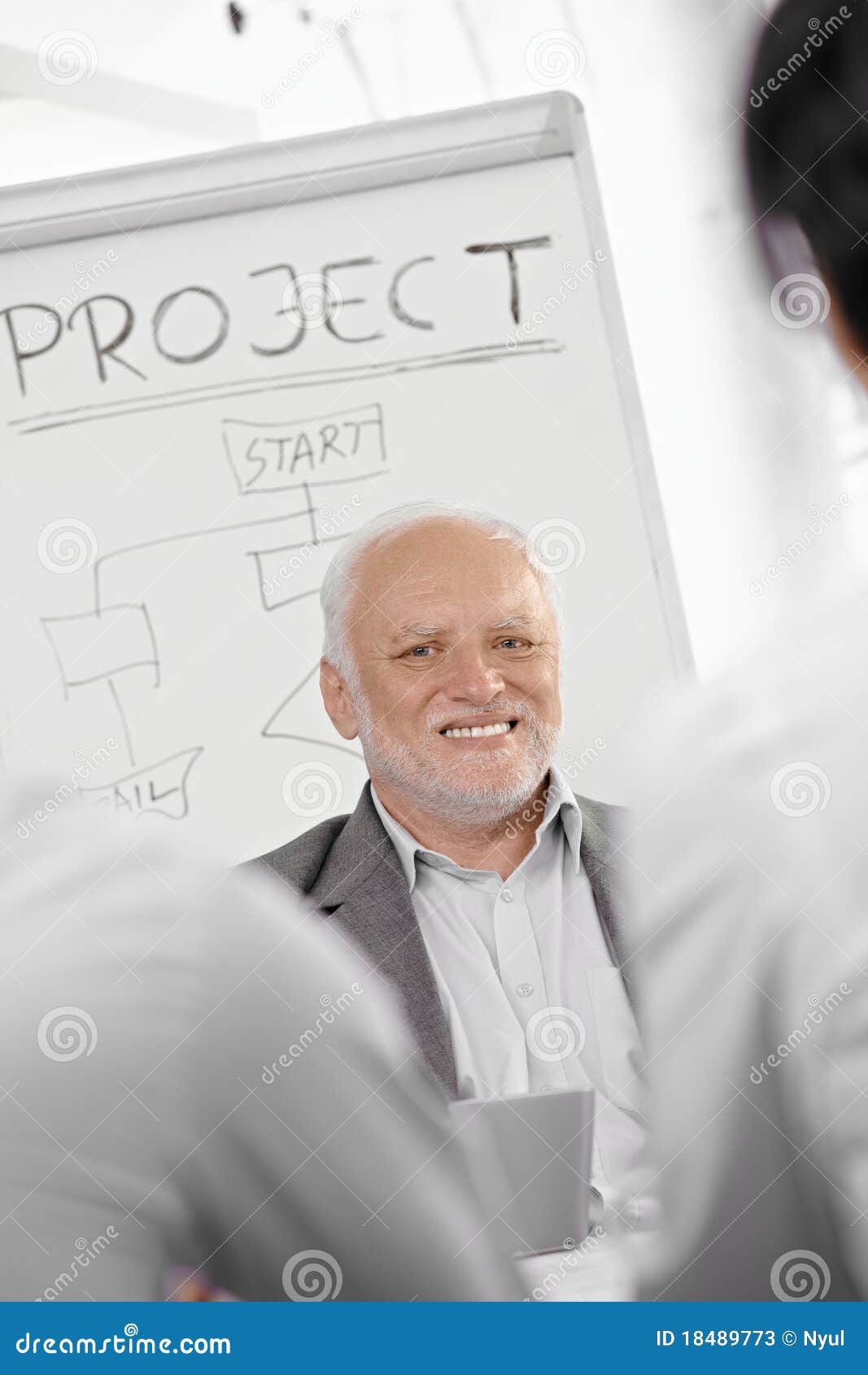 Businessman Presenting Project Stock Image - Image of caucasian, group ... Businessman Presenting Project Stock Image - Image of caucasian, group ...