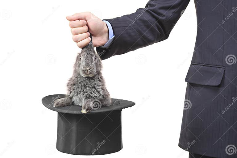 Businessman Pulling a Rabbit Out Stock Photo - Image of bunny, holding ...