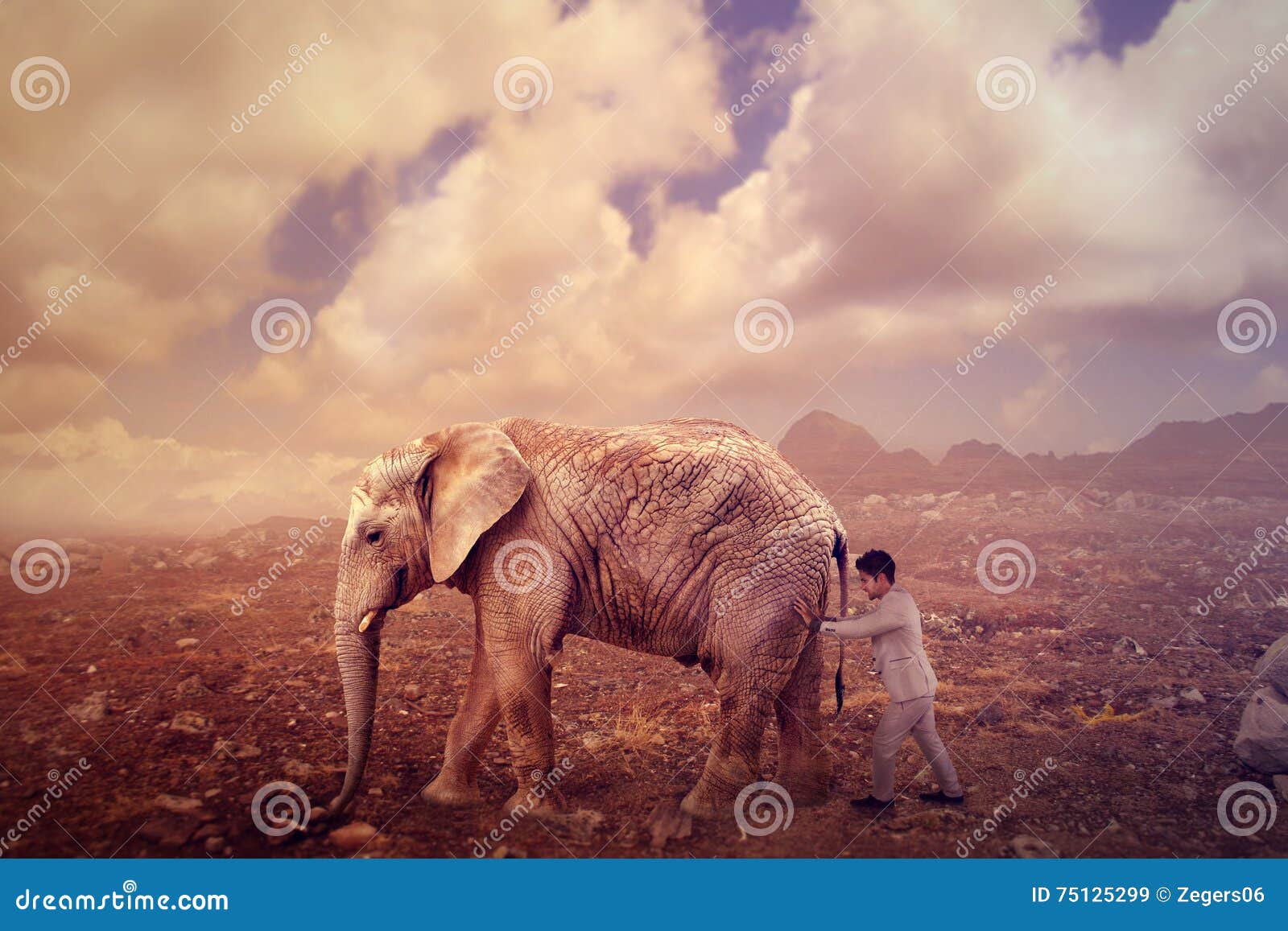 Businessman Pushing an Elephant Stock Image - Image of person, wild ...