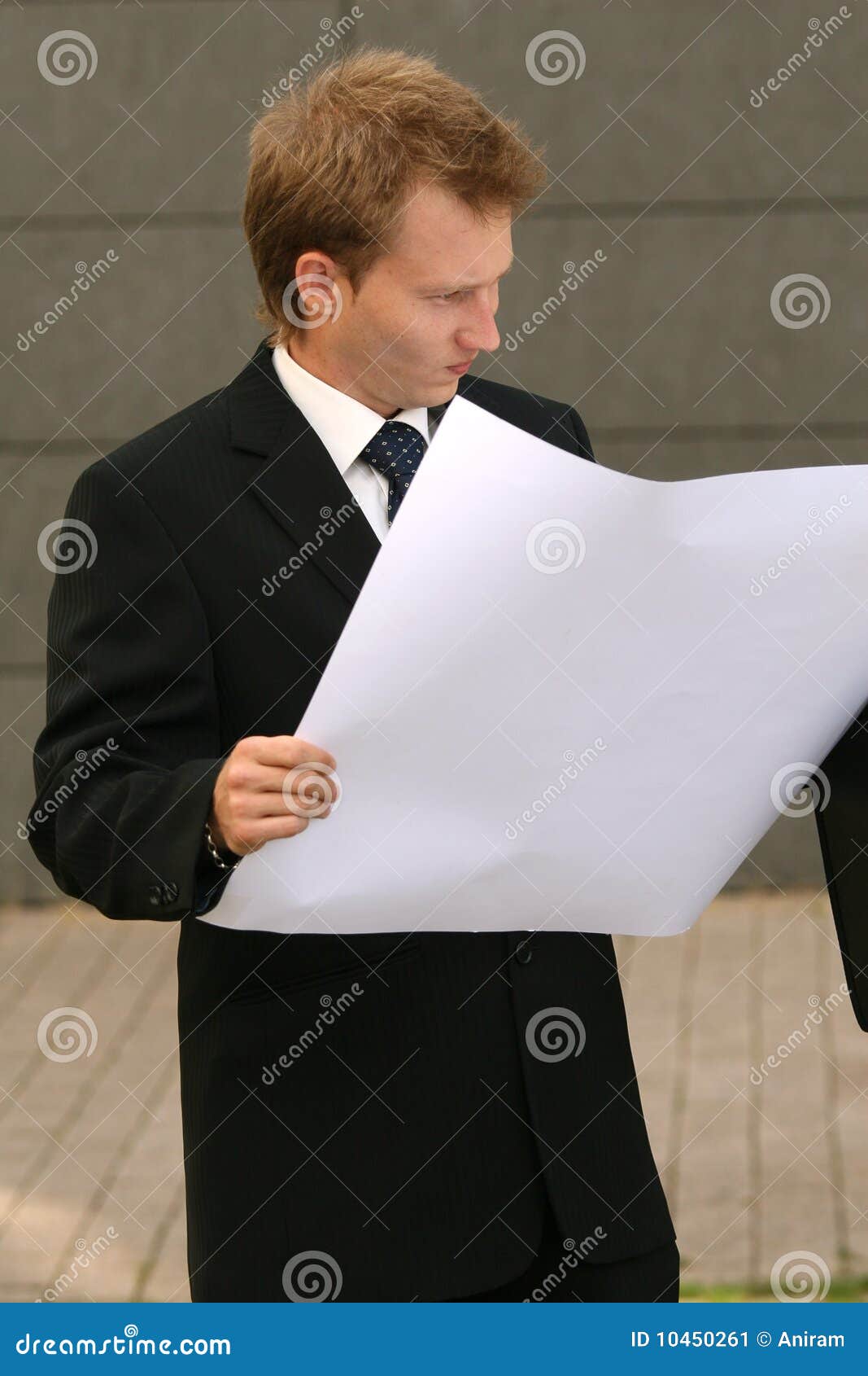 Businessman reading plans stock image. Image of career - 10450261