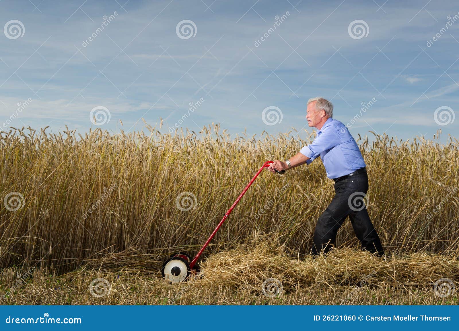 Businessman Reaping the Rewards Stock Photo - Image of arduous ...