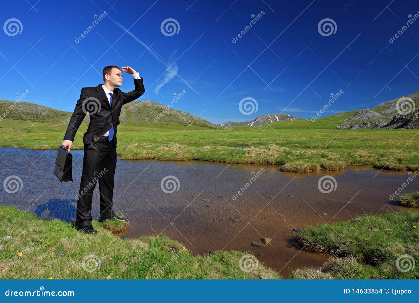 A Businessman Searching for a Way Stock Photo - Image of green, field ...