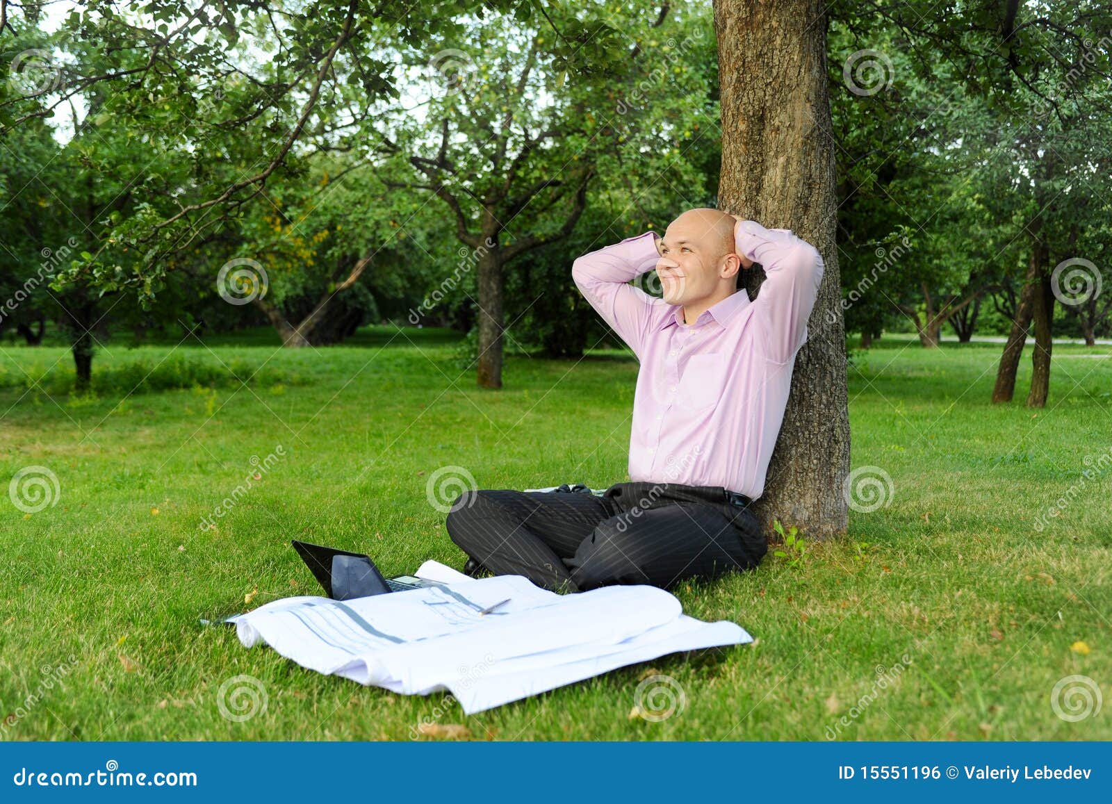 Businessman Sitting Near a Tree Stock Photo - Image of field, male ...